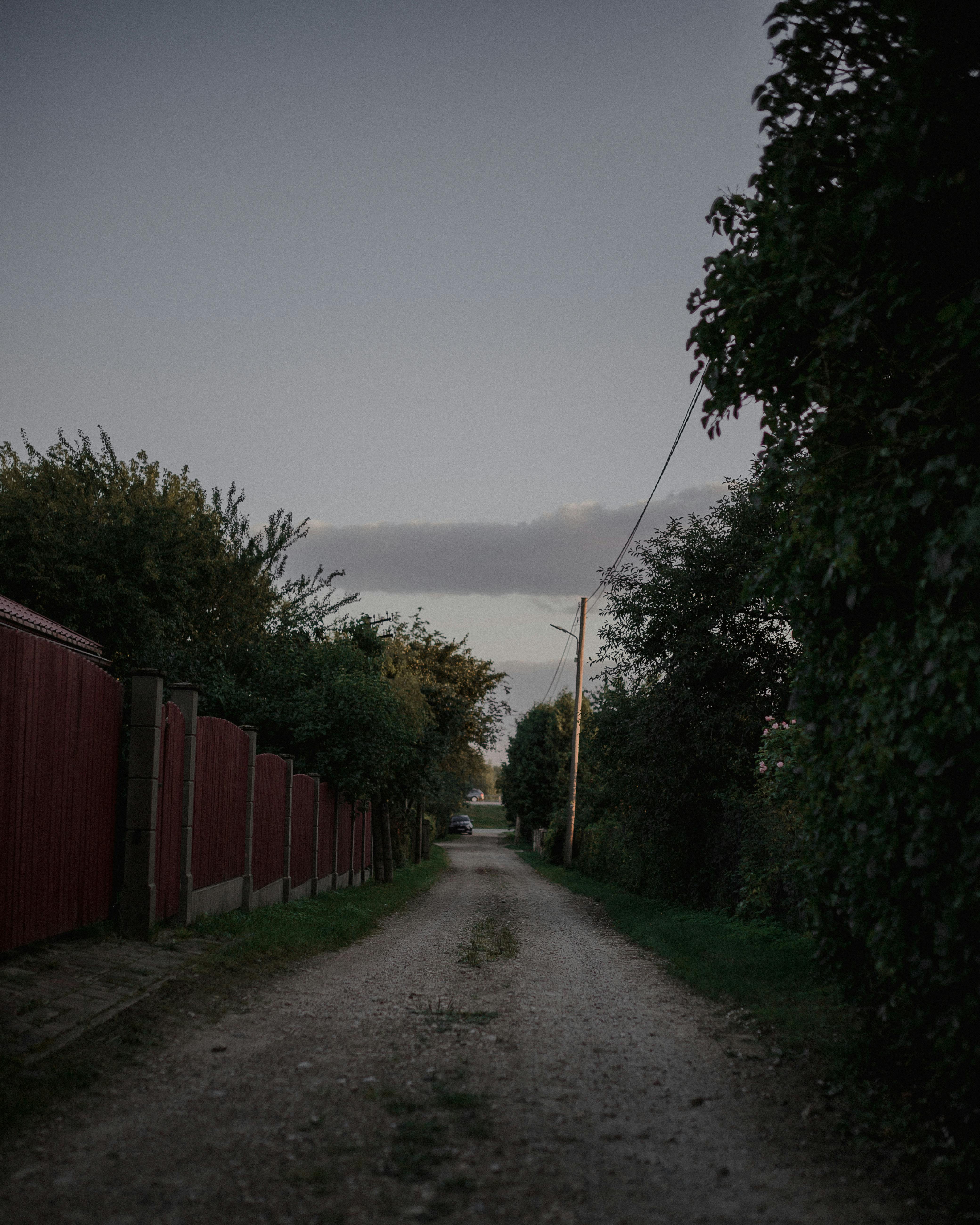 Empty Dirt Road at Dusk · Free Stock Photo