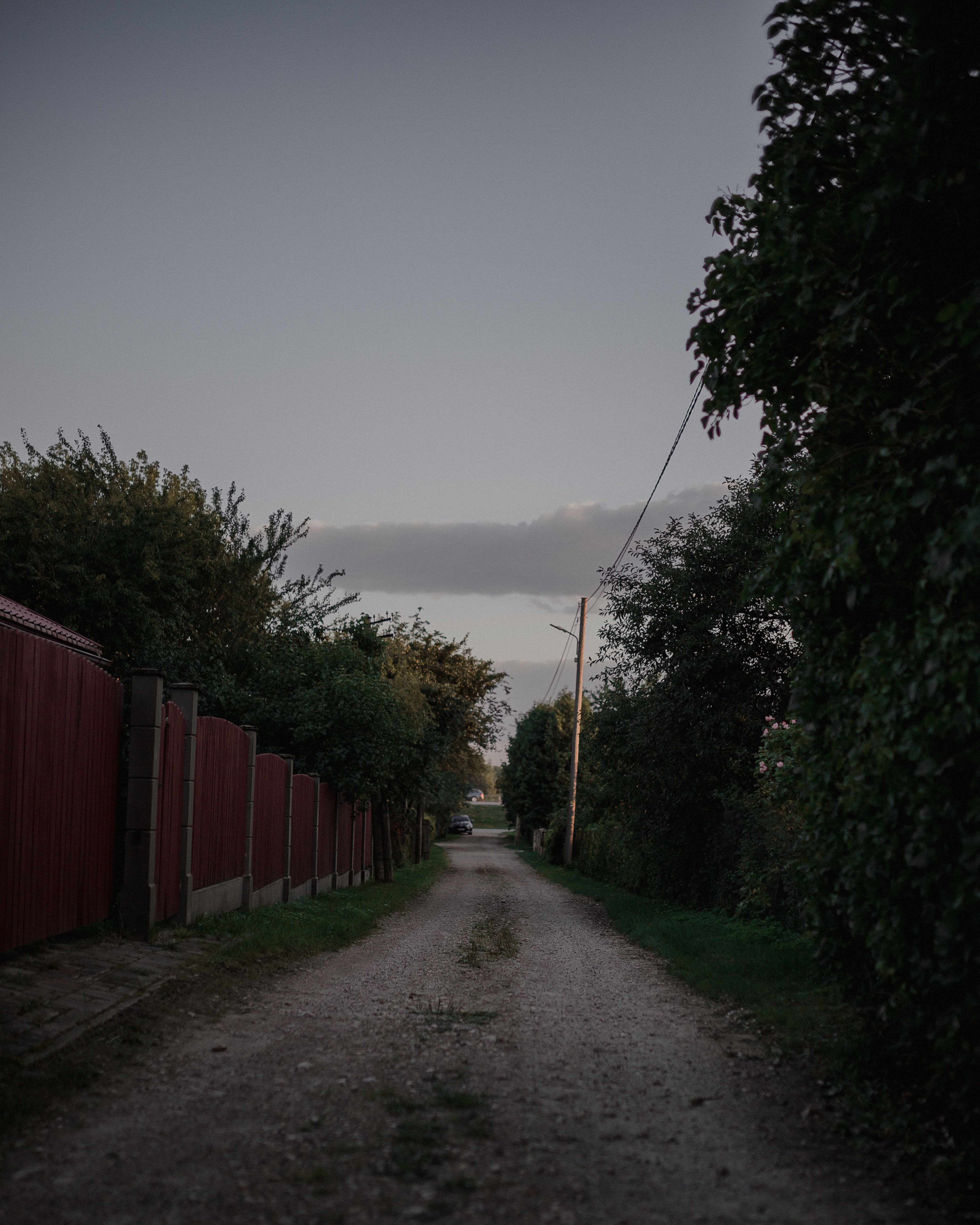 Empty Dirt Road at Dusk · Free Stock Photo