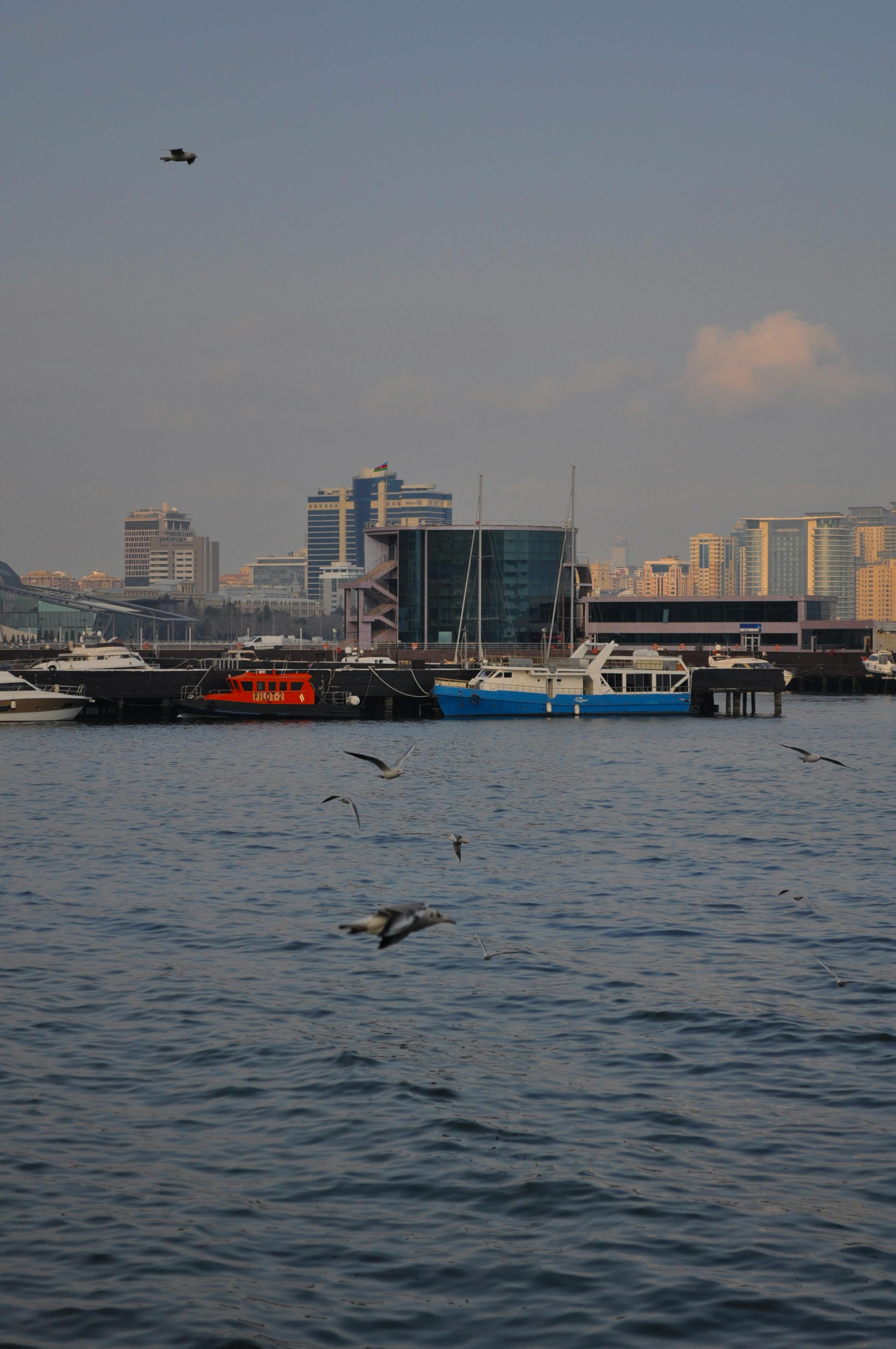 Murad Mammadov - Photography