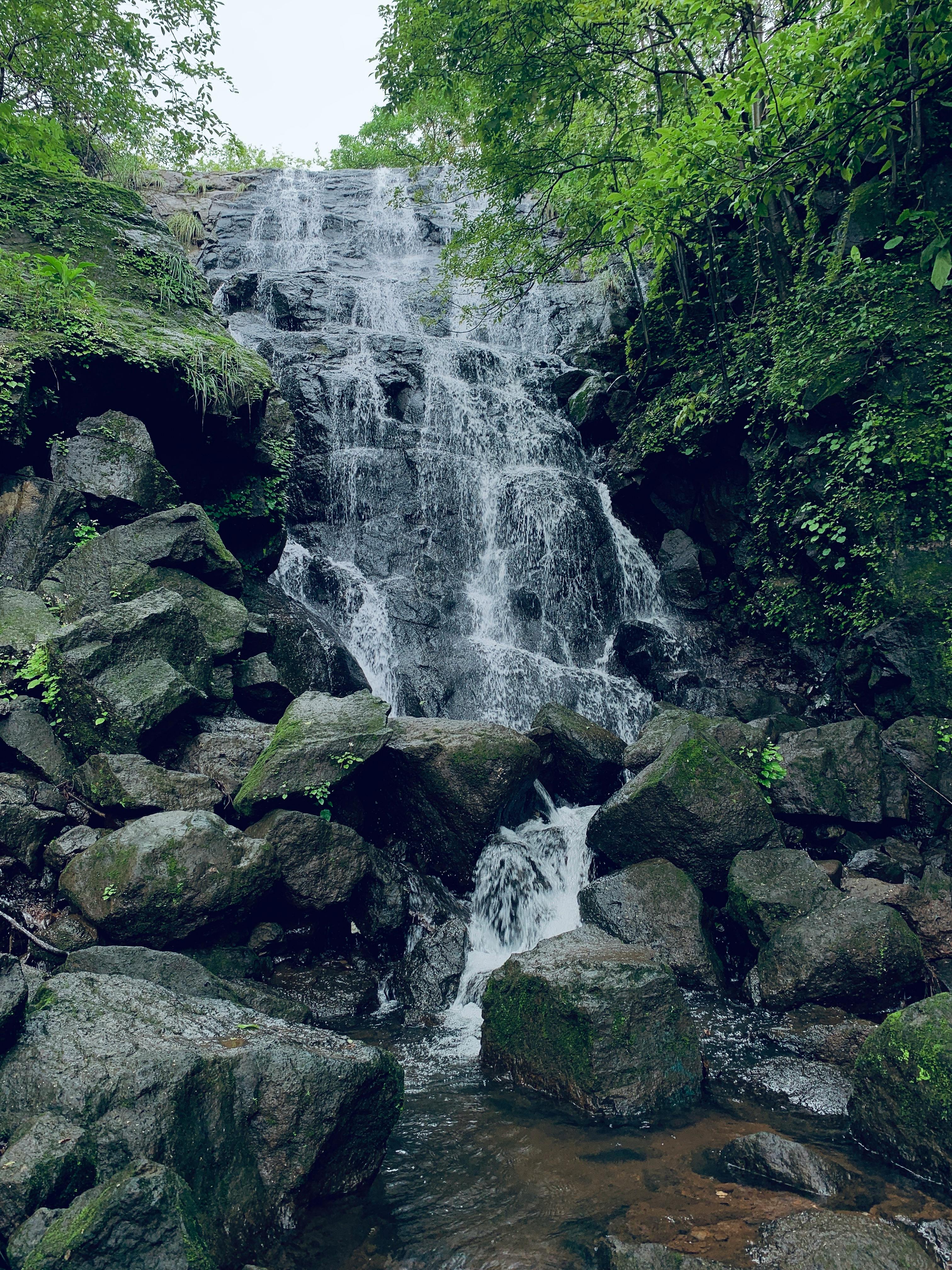 Waterfalls With Rocks in the Middle of Forest · Free Stock Photo