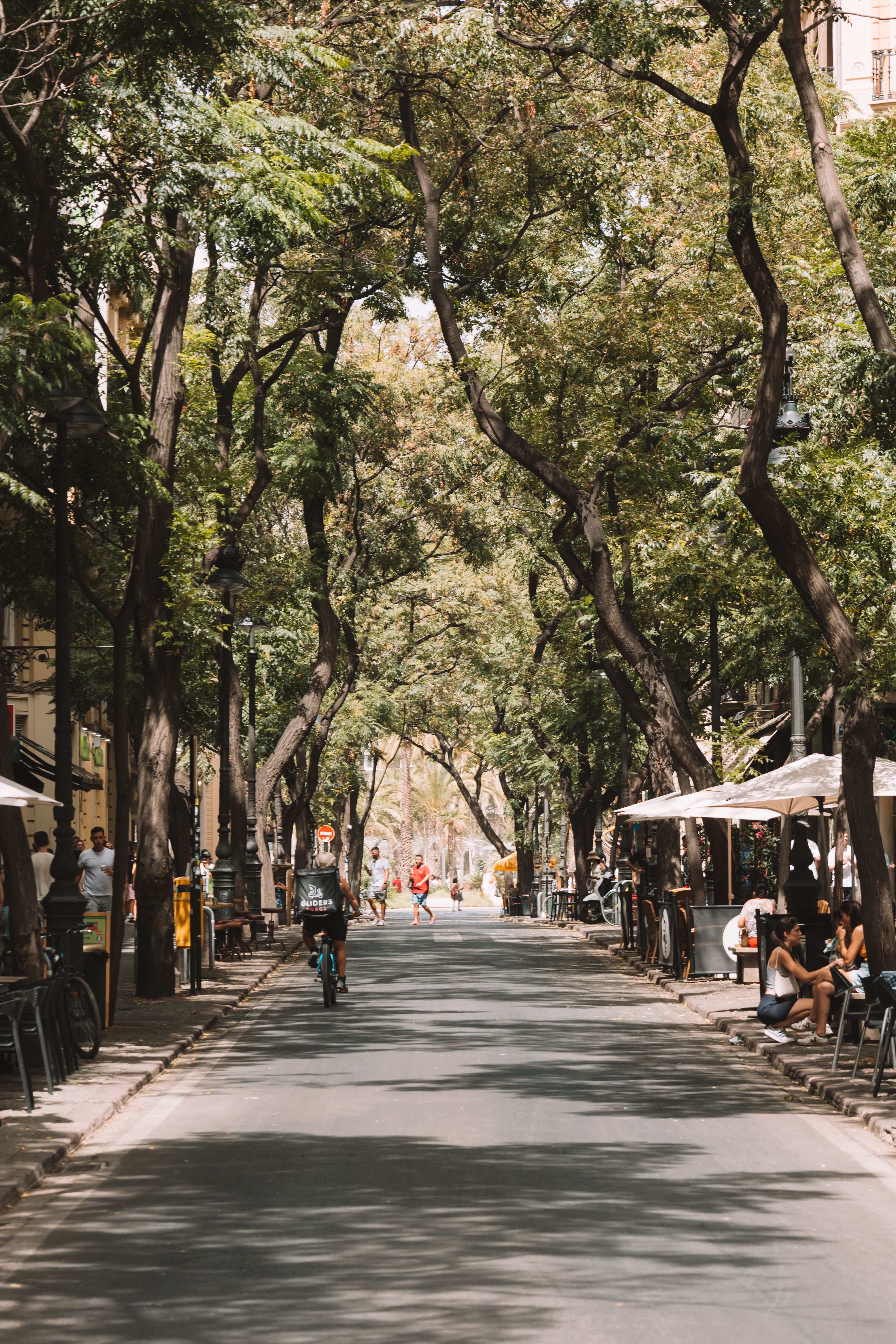 Street with Trees · Free Stock Photo