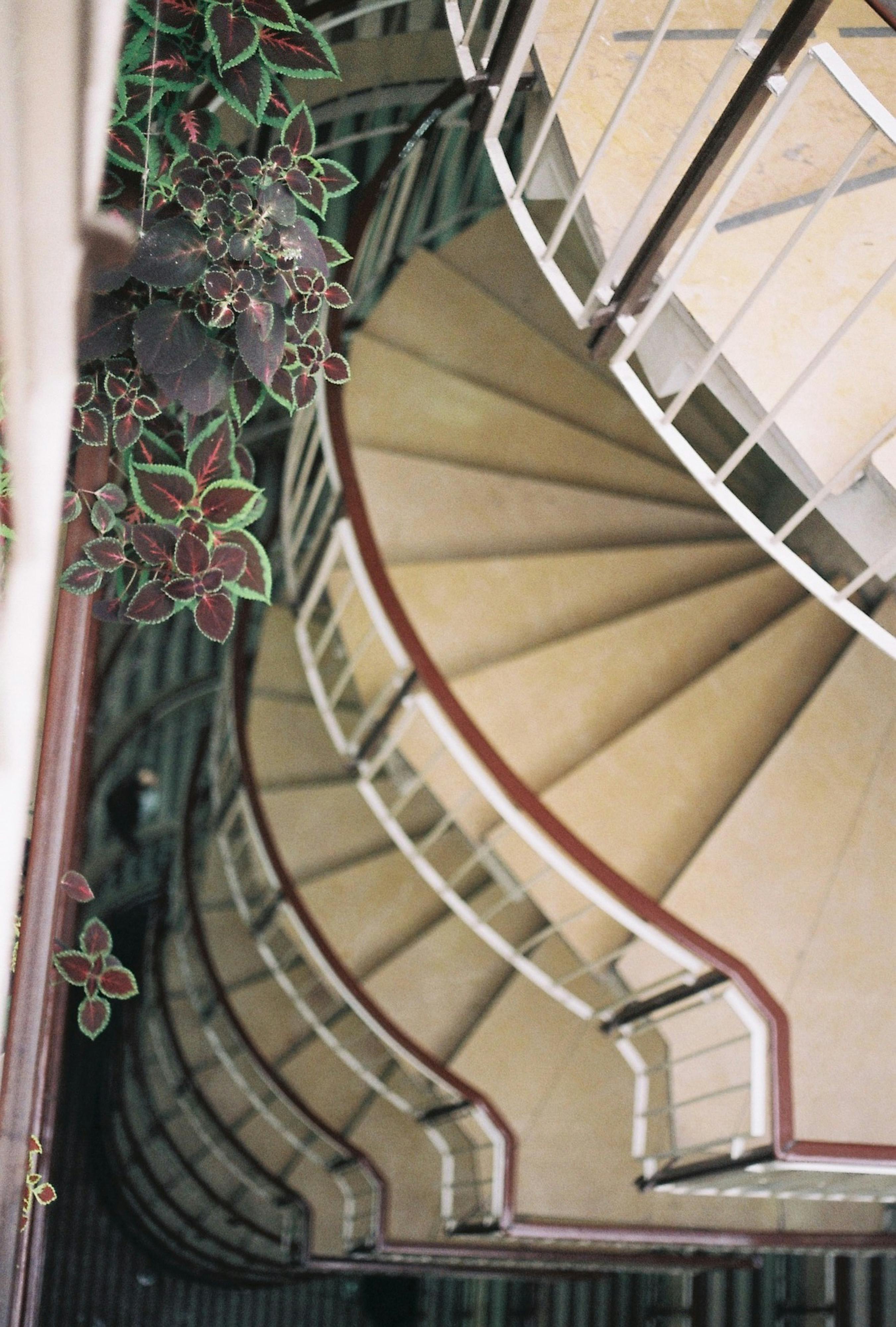 Traditional Stairs in a Building · Free Stock Photo