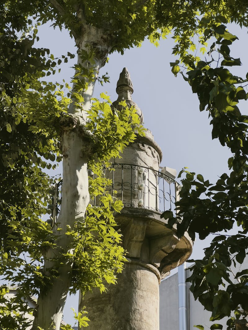 Minaret Photos, Download The BEST Free Minaret Stock Photos & HD Images