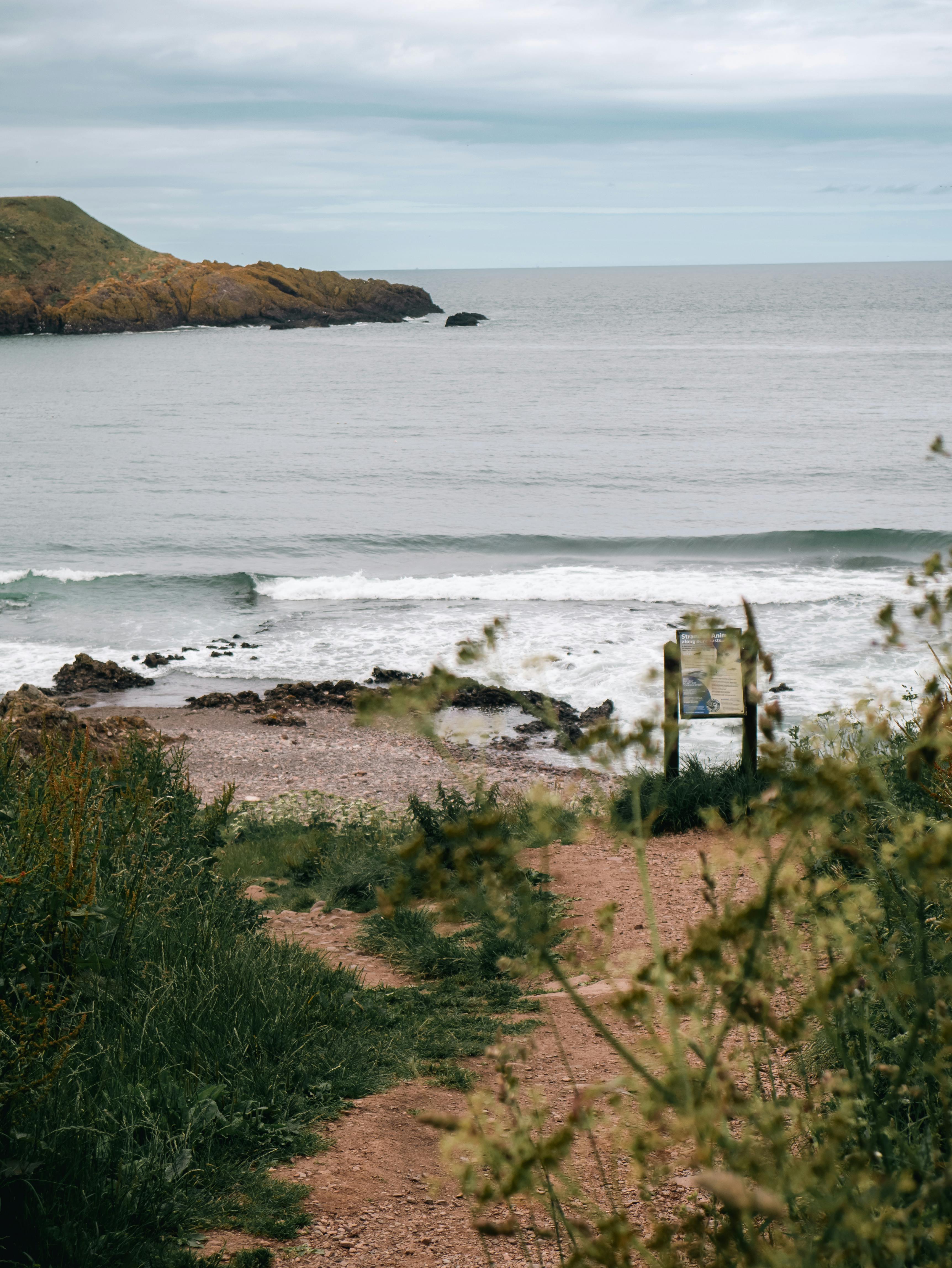 Slight Waves Photos, Download The BEST Free Slight Waves Stock Photos ...