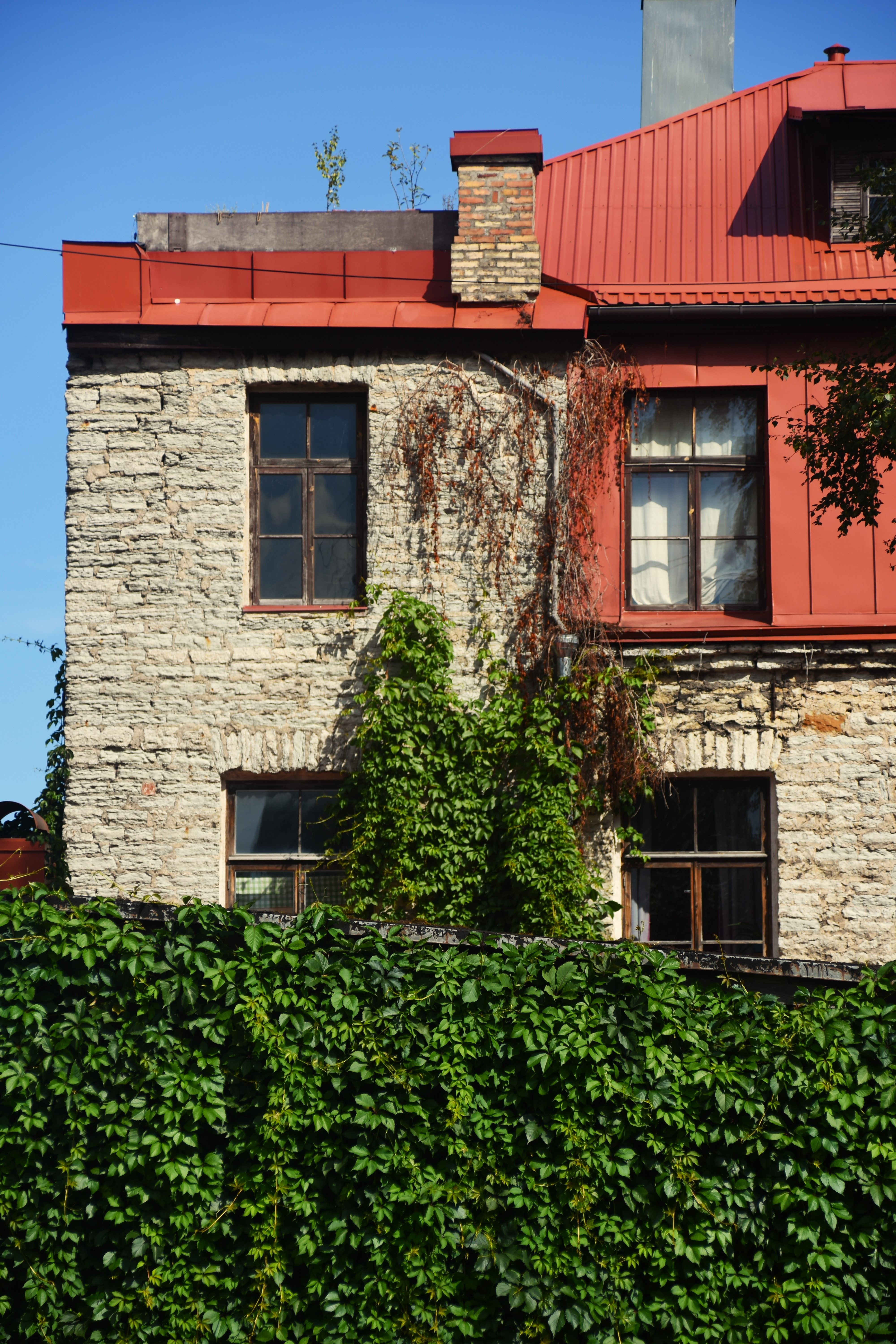 Hedge and Ivy on Stone House Building · Free Stock Photo