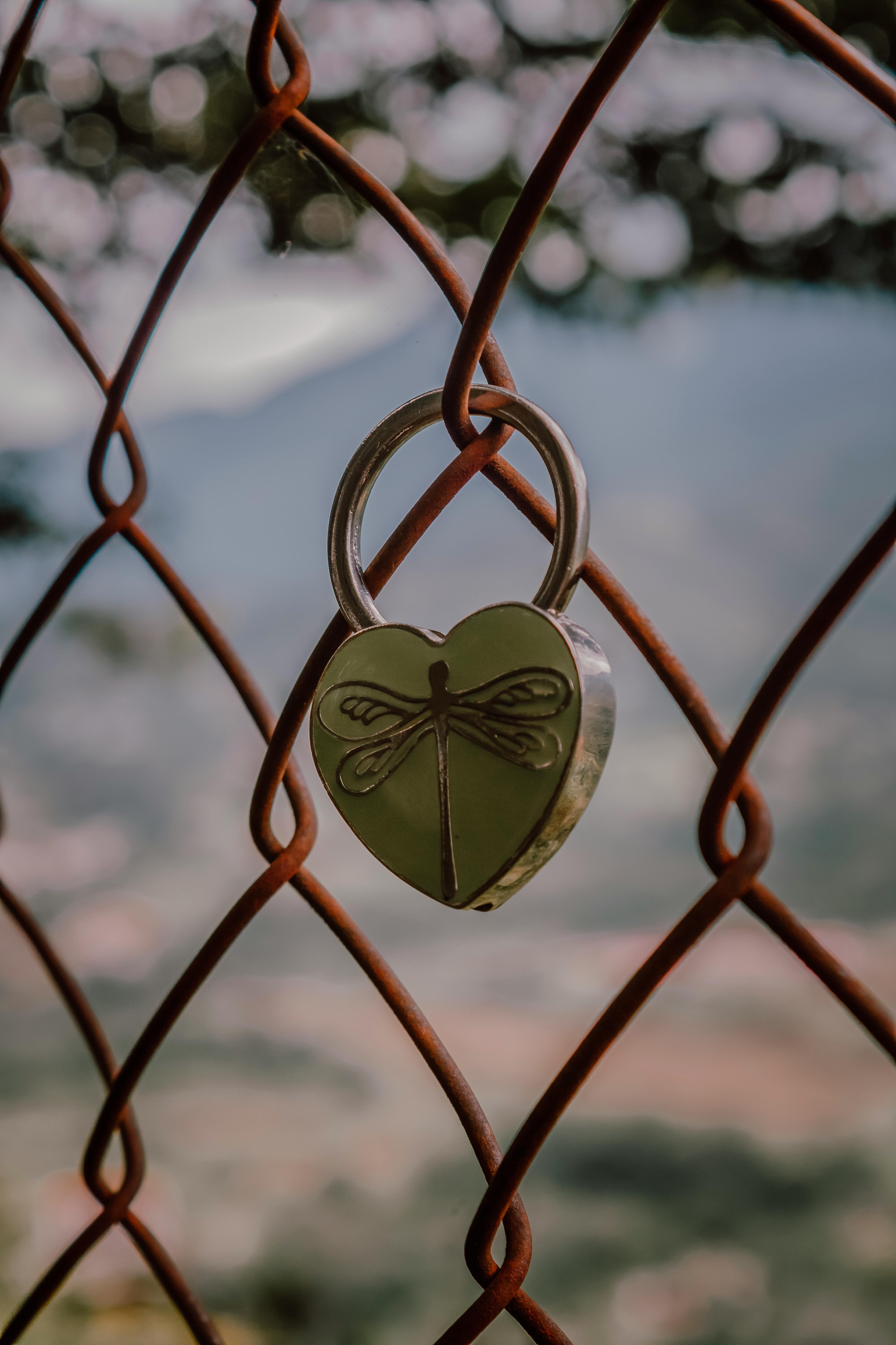 Silver-colored Heart Lock Bridge · Free Stock Photo