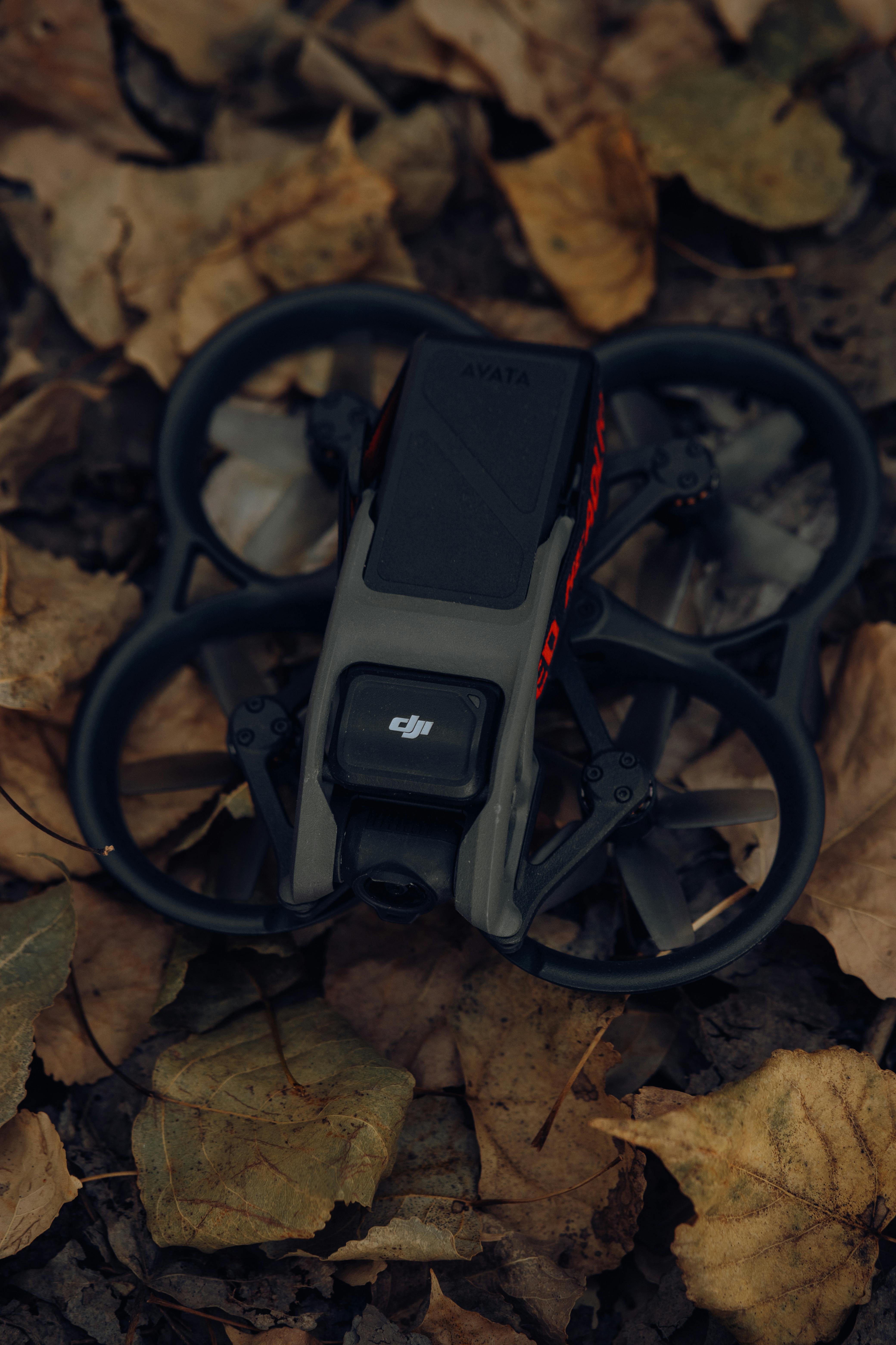 Drone on Autumn Leaves on Ground · Free Stock Photo