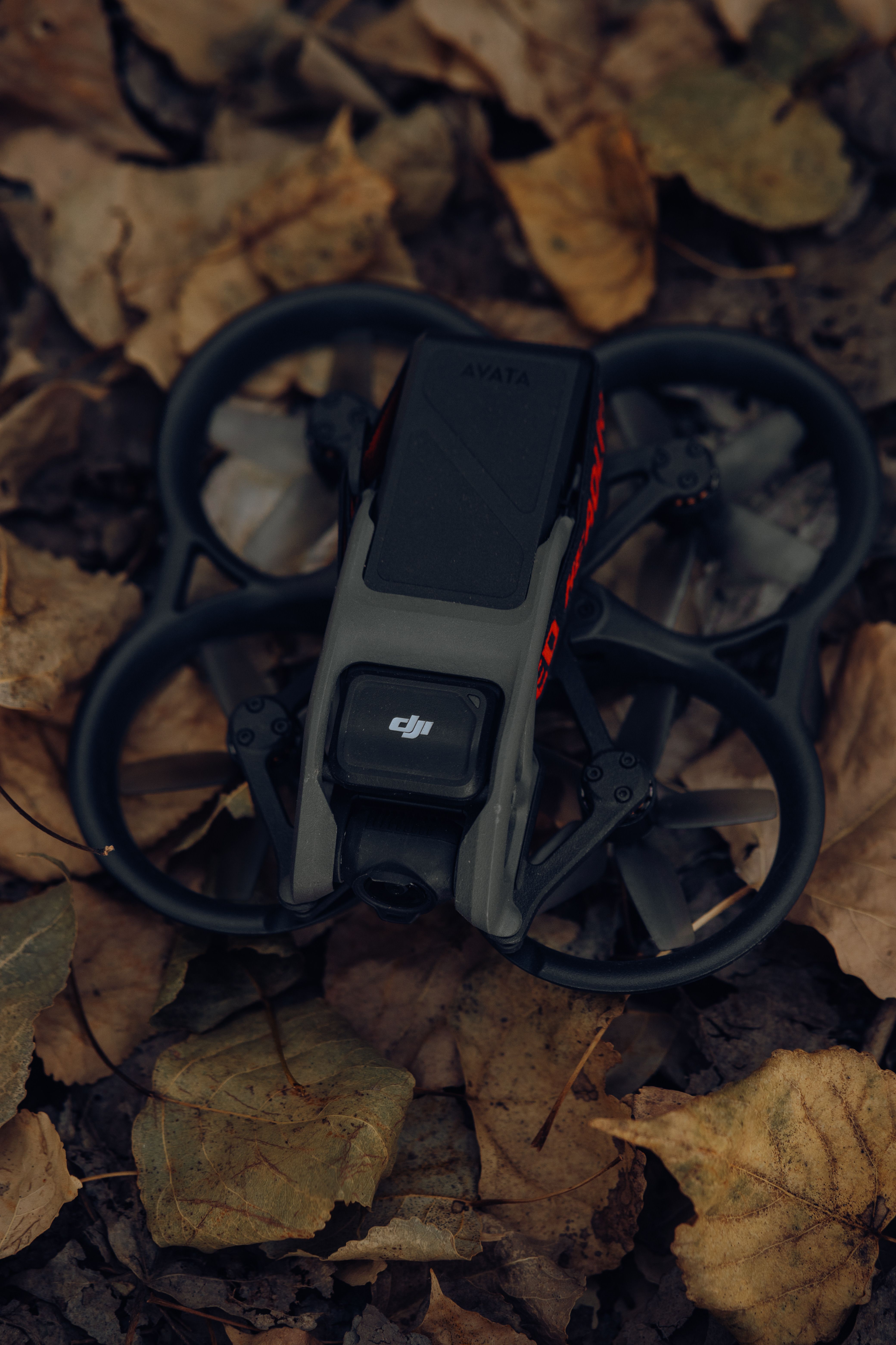 Drone on Autumn Leaves on Ground · Free Stock Photo
