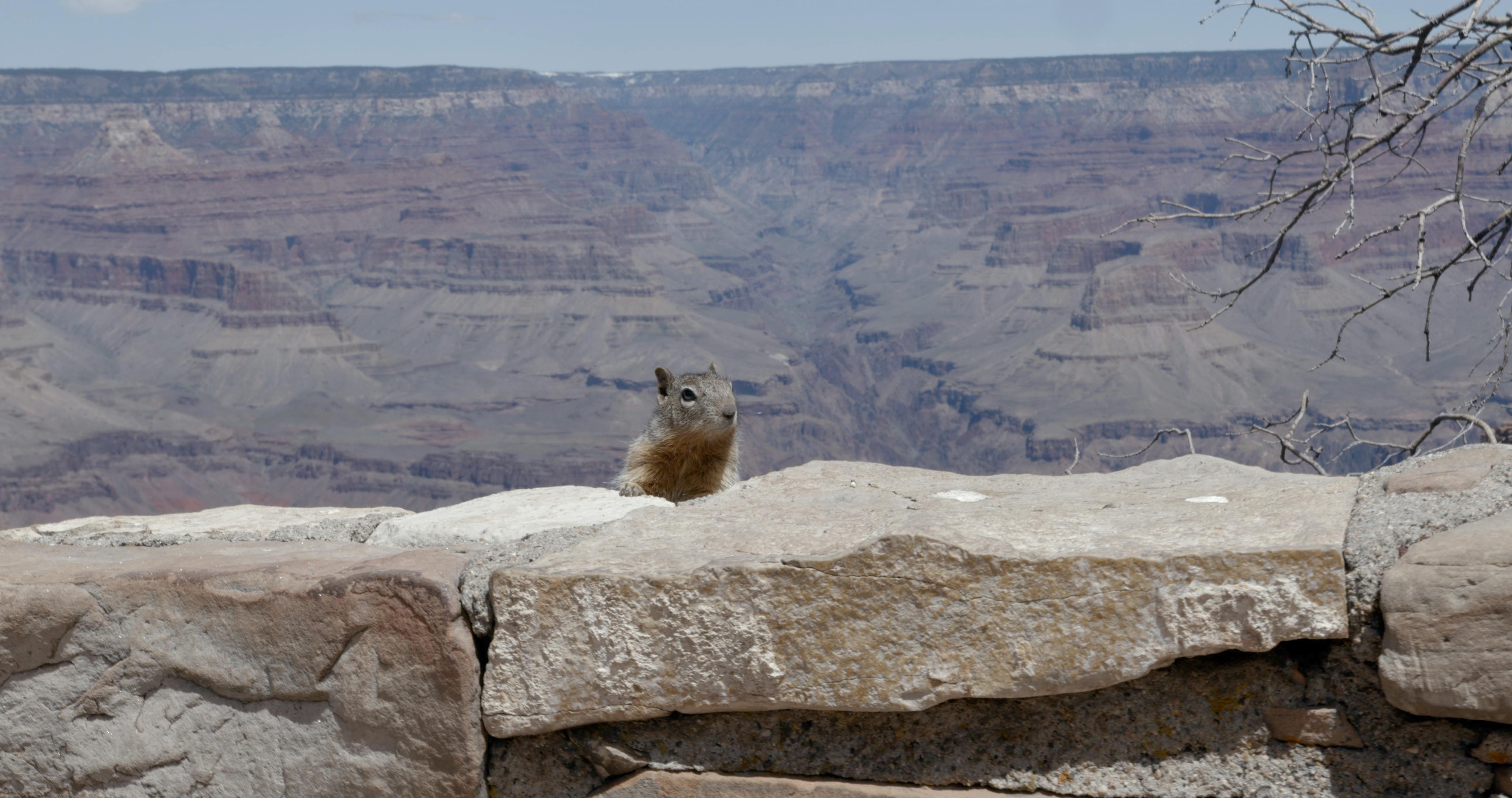 James Hayward - Photography