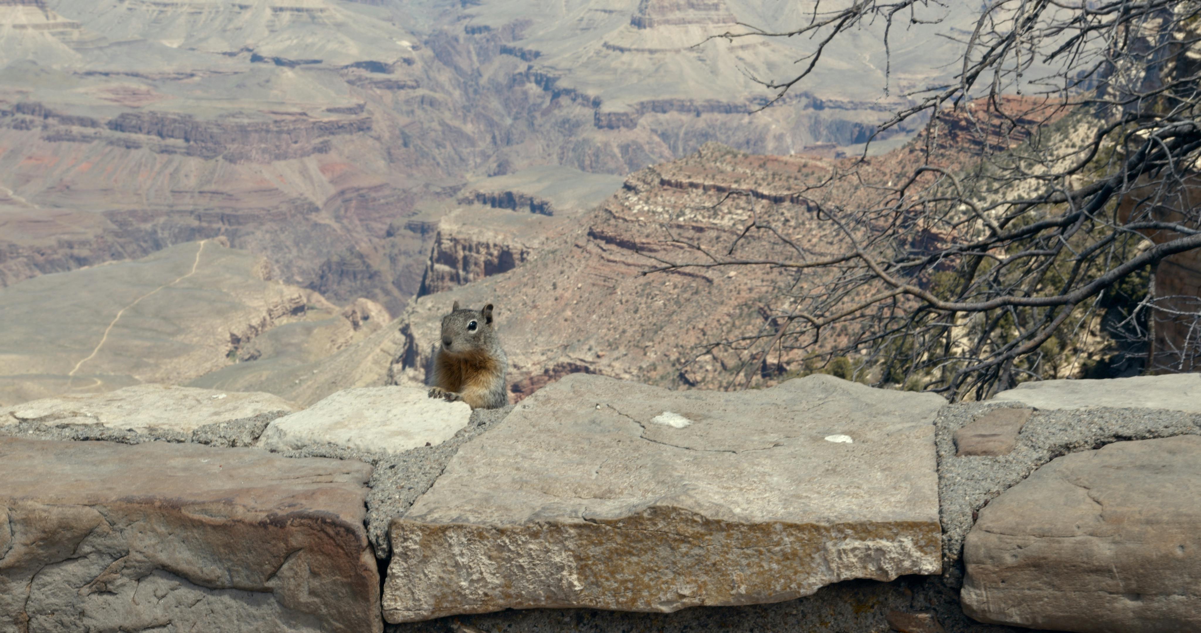 James Hayward - 攝影