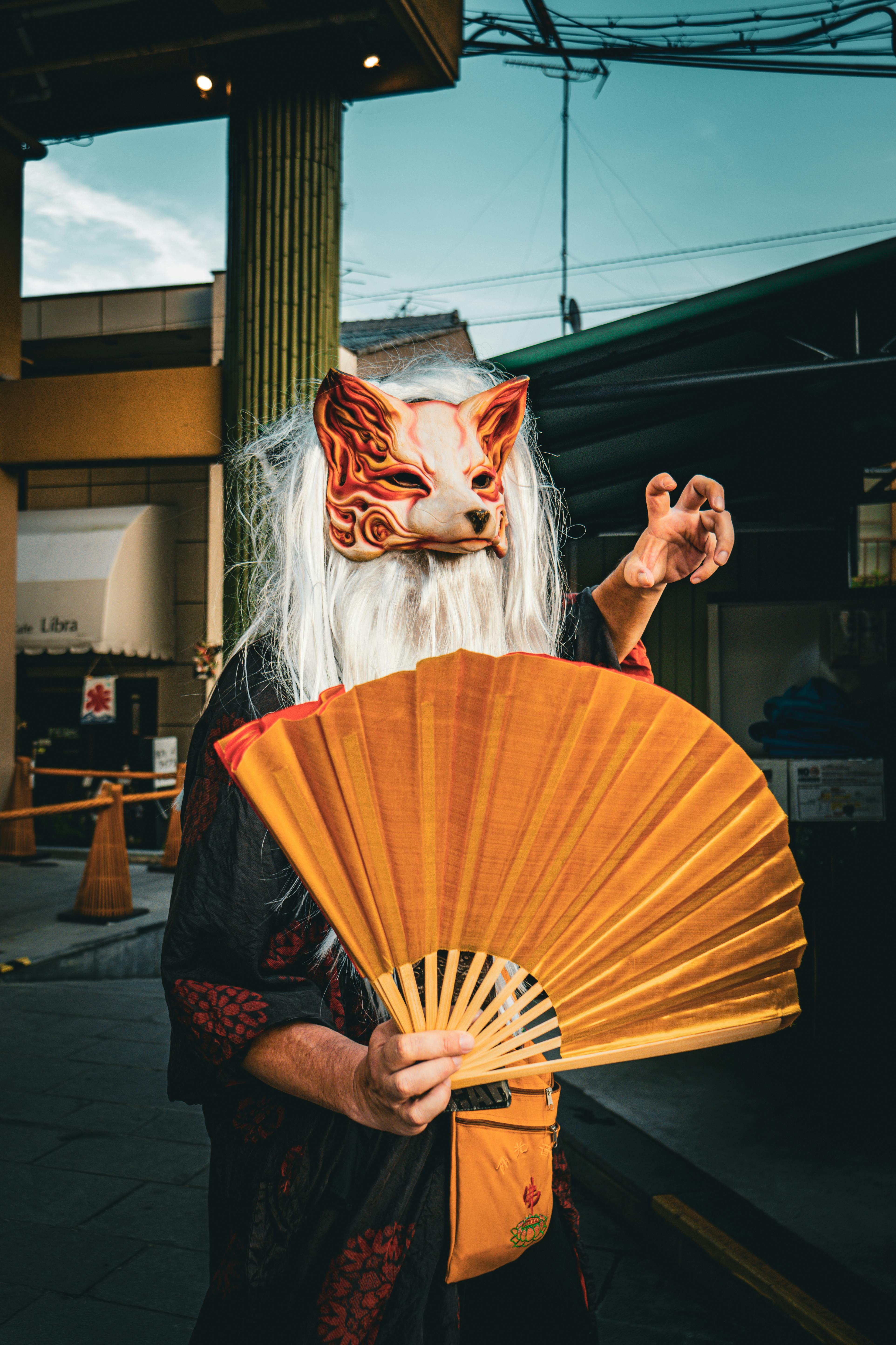 Kitsune Photos, Download The BEST Free Kitsune Stock Photos & HD Images