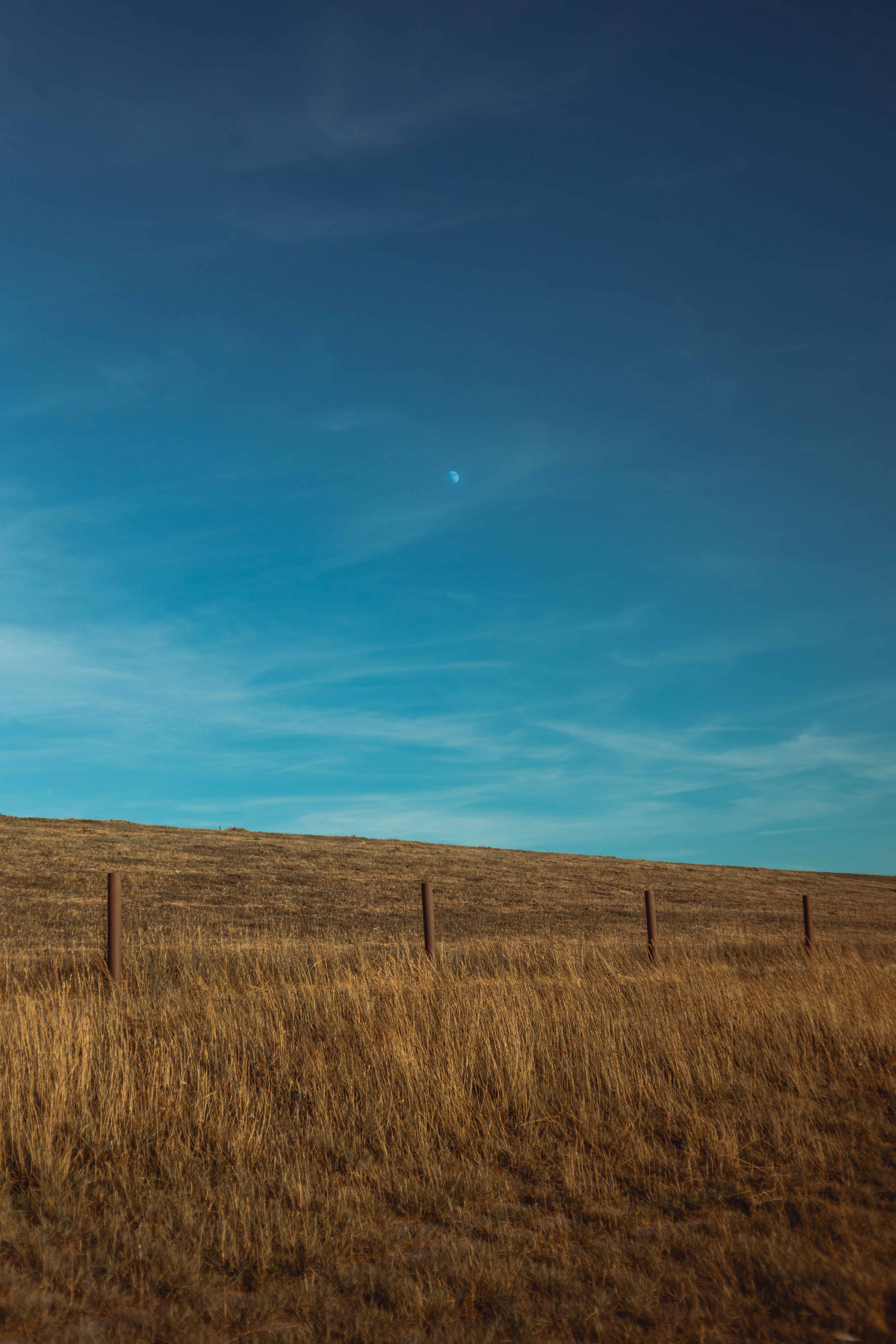 Open Field Hill Photos, Download The BEST Free Open Field Hill Stock ...