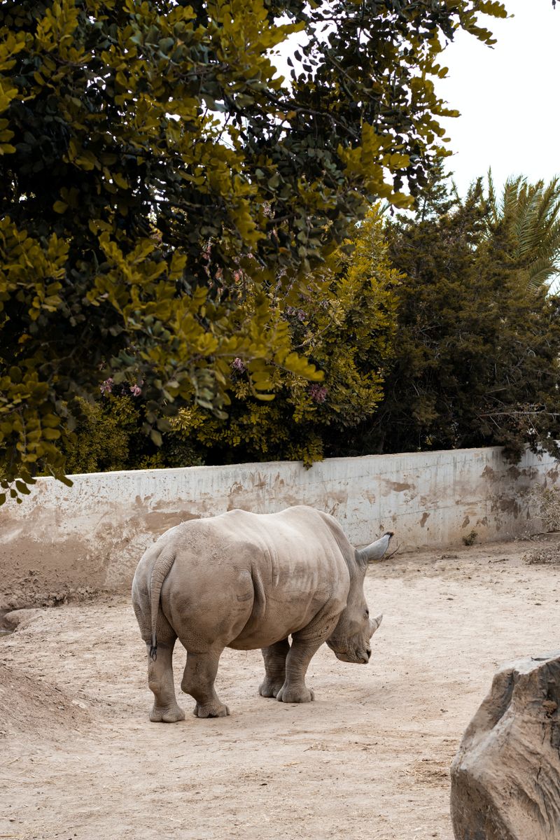 Zoo Animals Photos, Download The BEST Free Zoo Animals Stock Photos ...