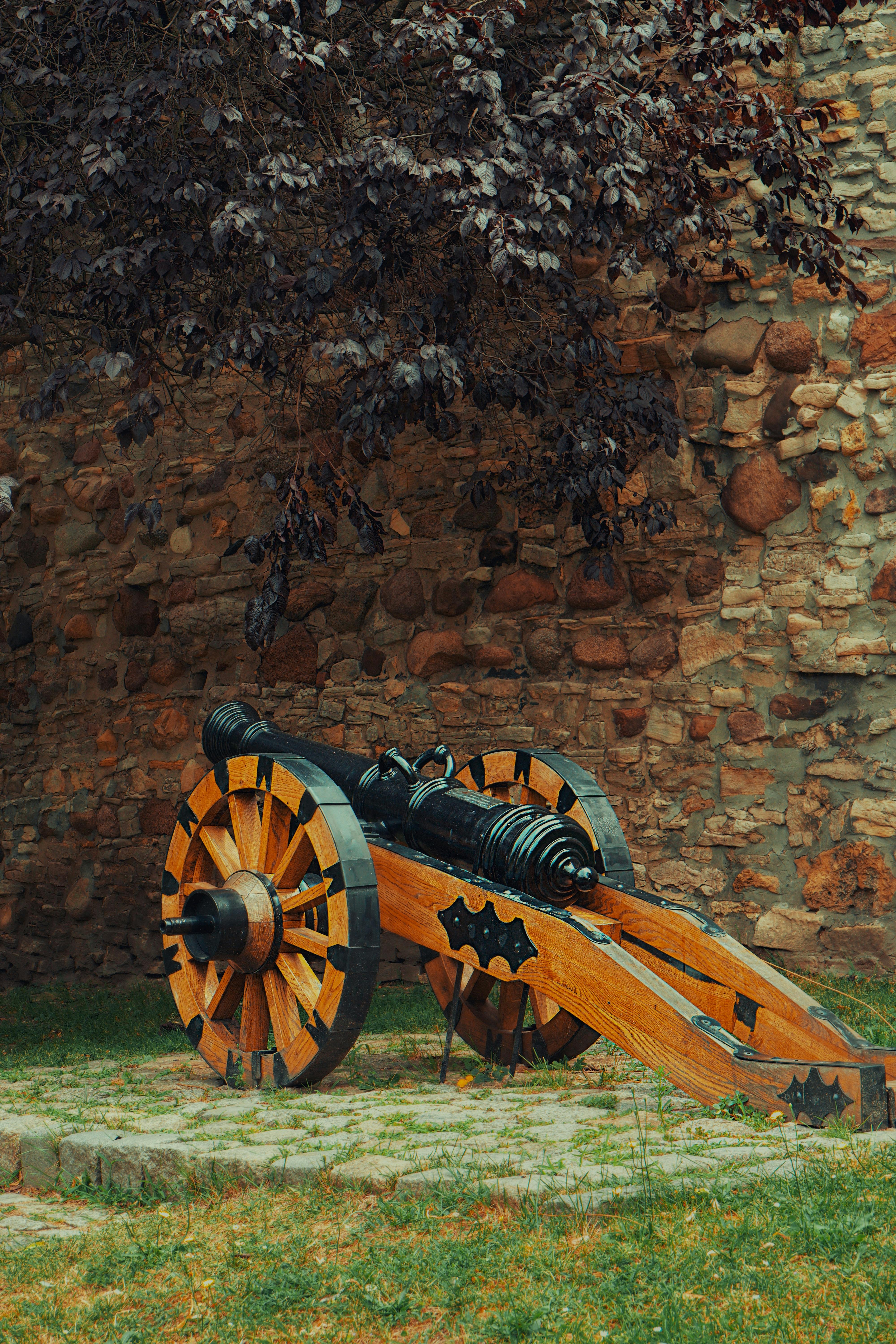 Restored Antique Cannon Next to the Castle Wall · Free Stock Photo