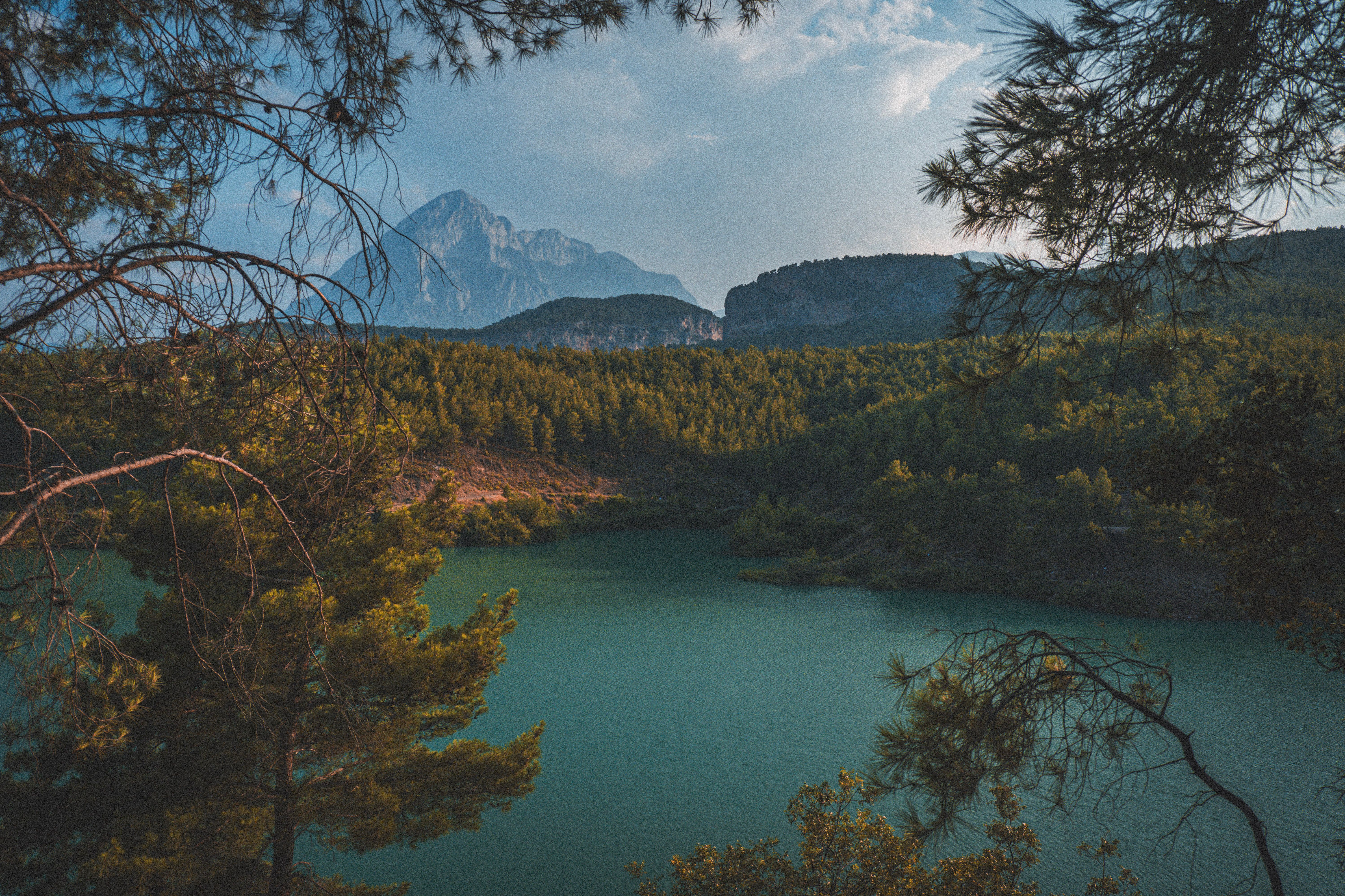 Nature Preserve Doyran Pond in Turkey · Free Stock Photo