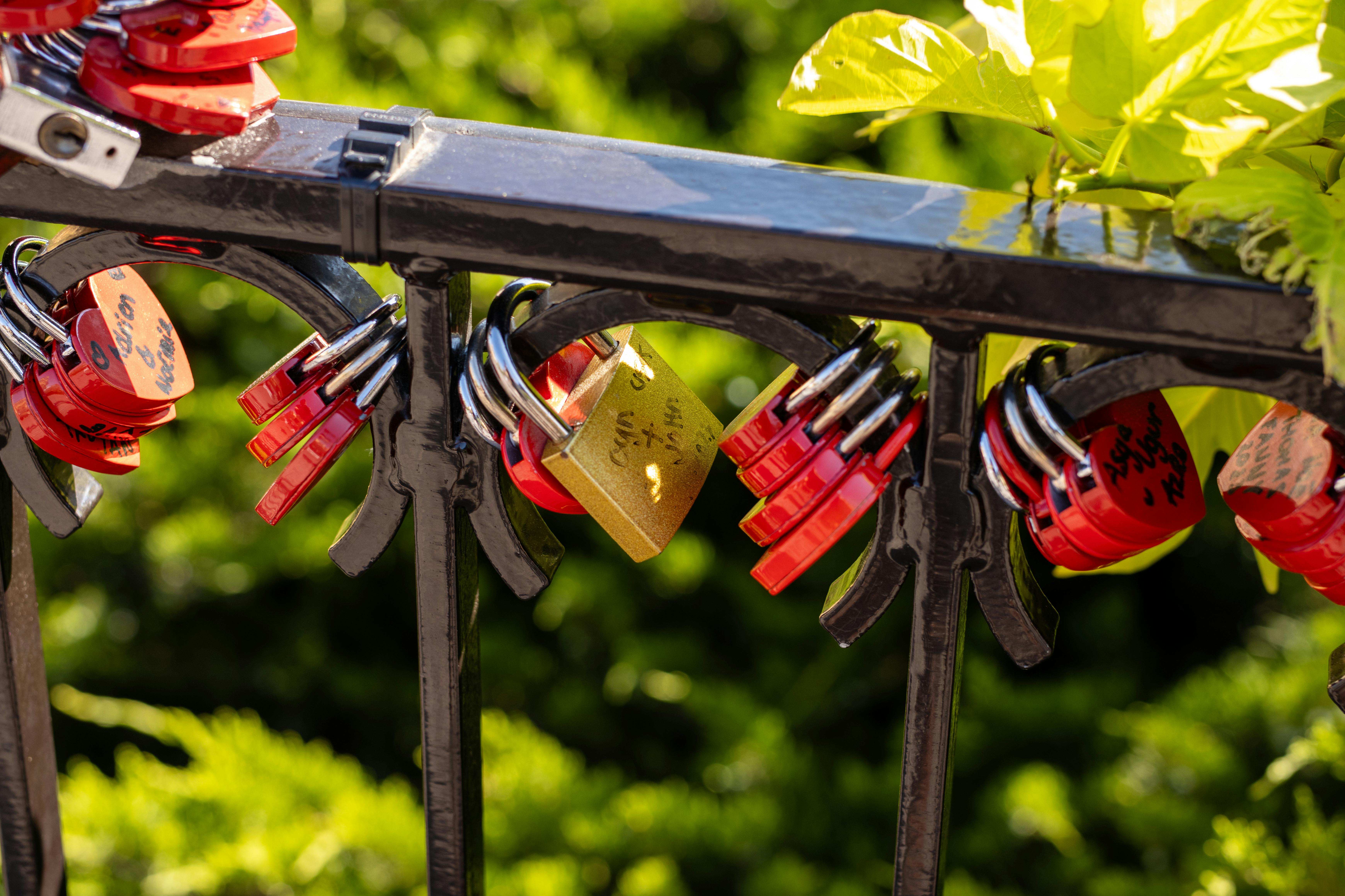 Assorted-color-shaped Padlocks Hanging on Grey Metal · Free Stock Photo