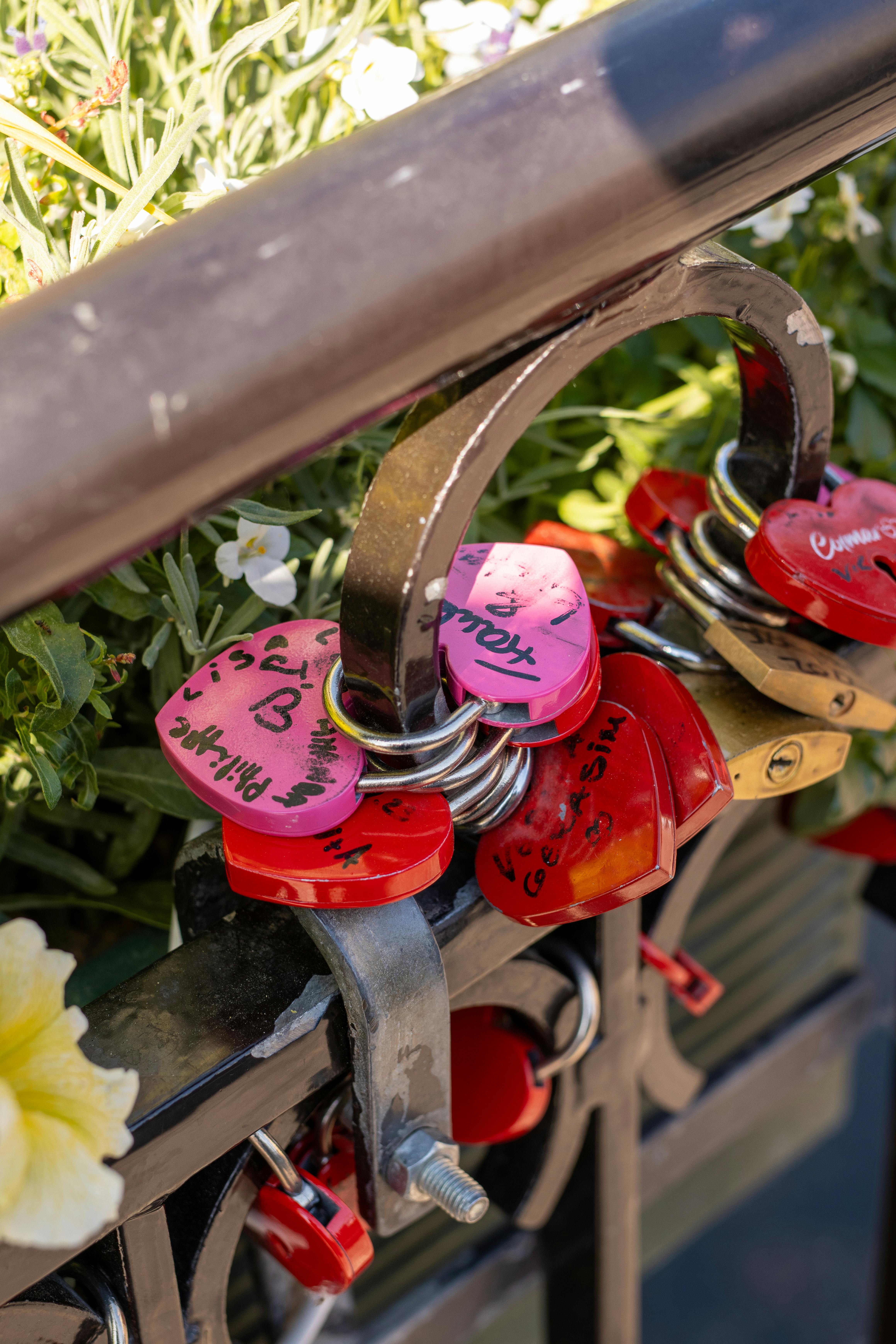 Assorted-color-shaped Padlocks Hanging on Grey Metal · Free Stock Photo