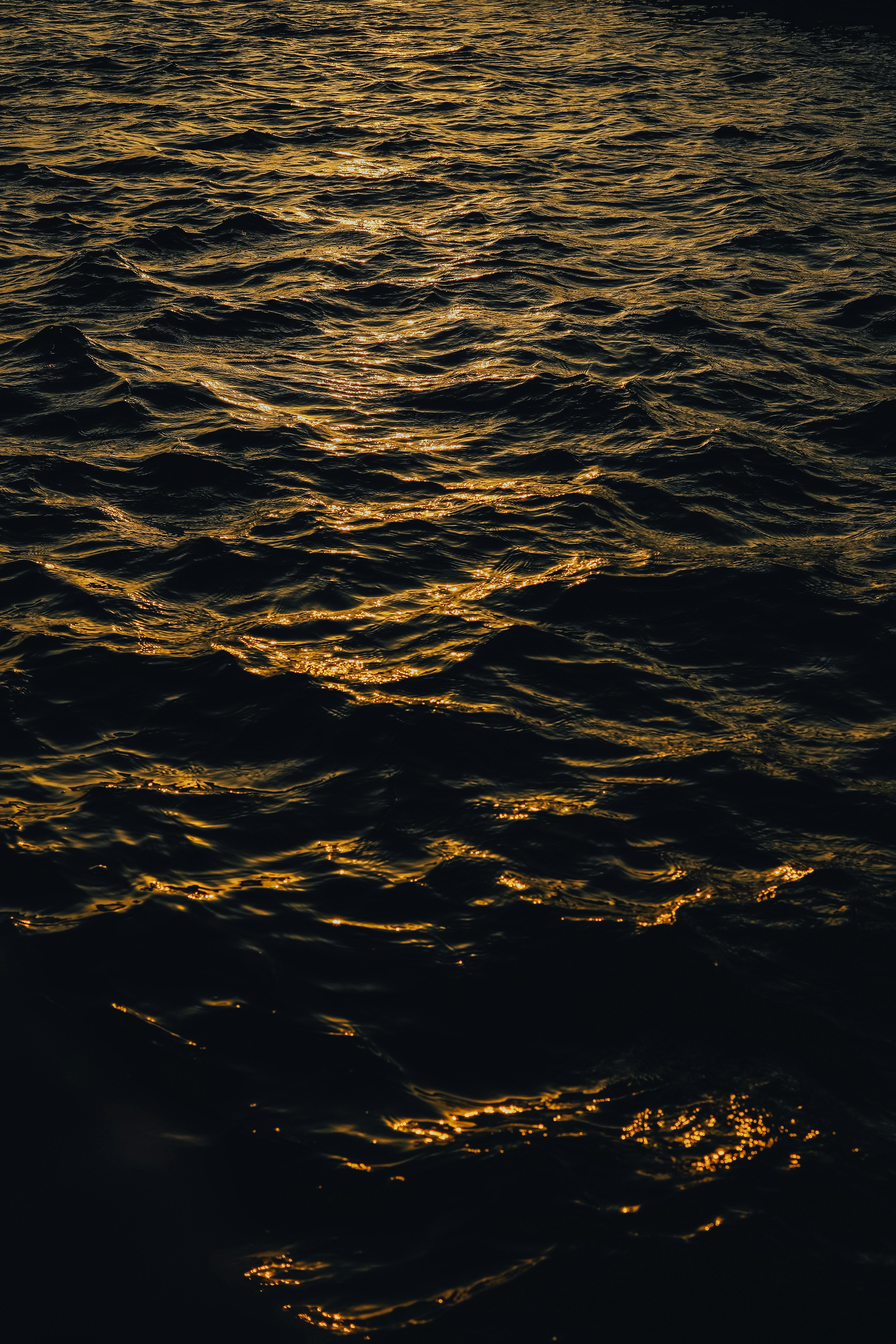 Sunlight Reflecting Off the Water · Free Stock Photo