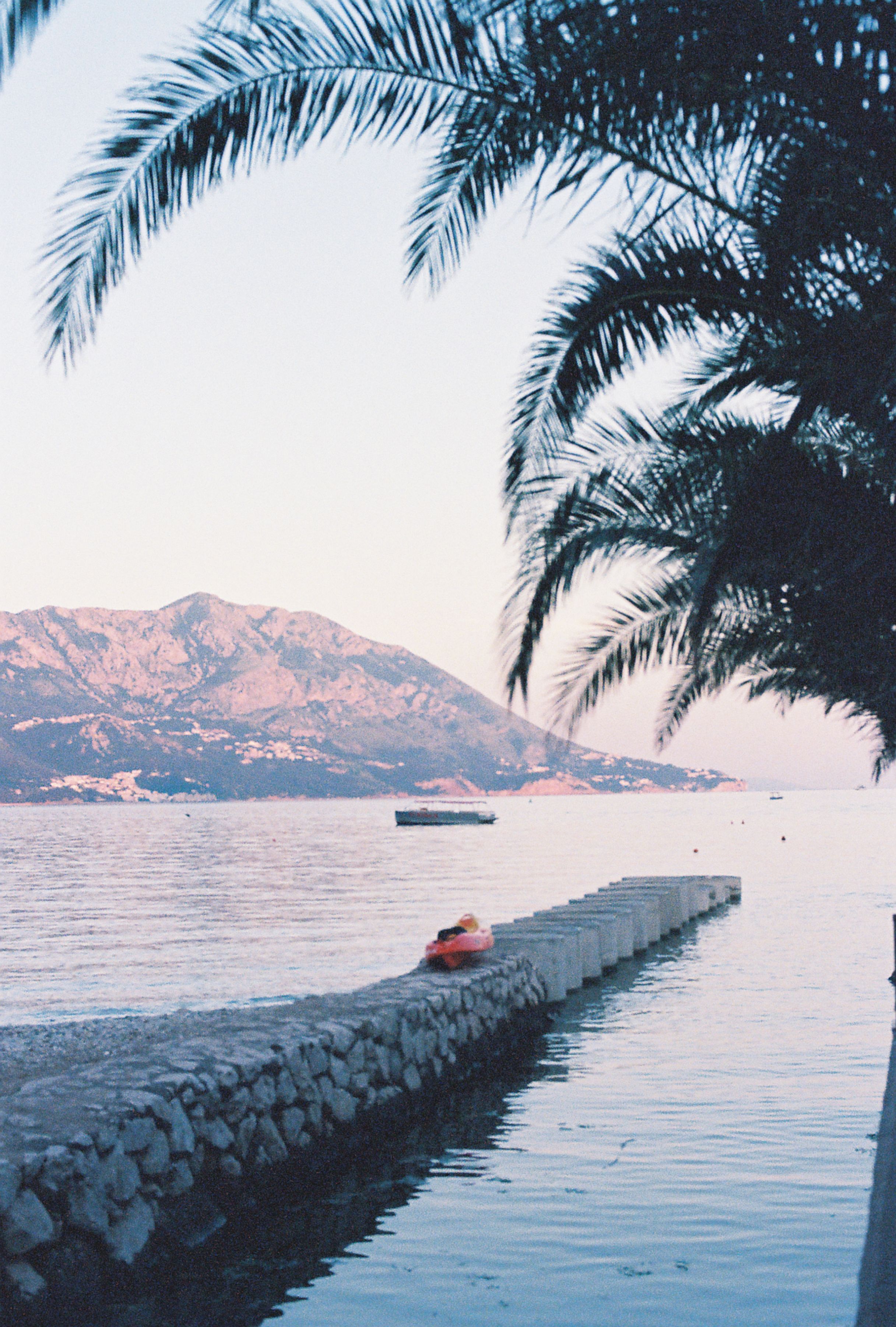 Piers Leaves Photos, Download The BEST Free Piers Leaves Stock Photos ...