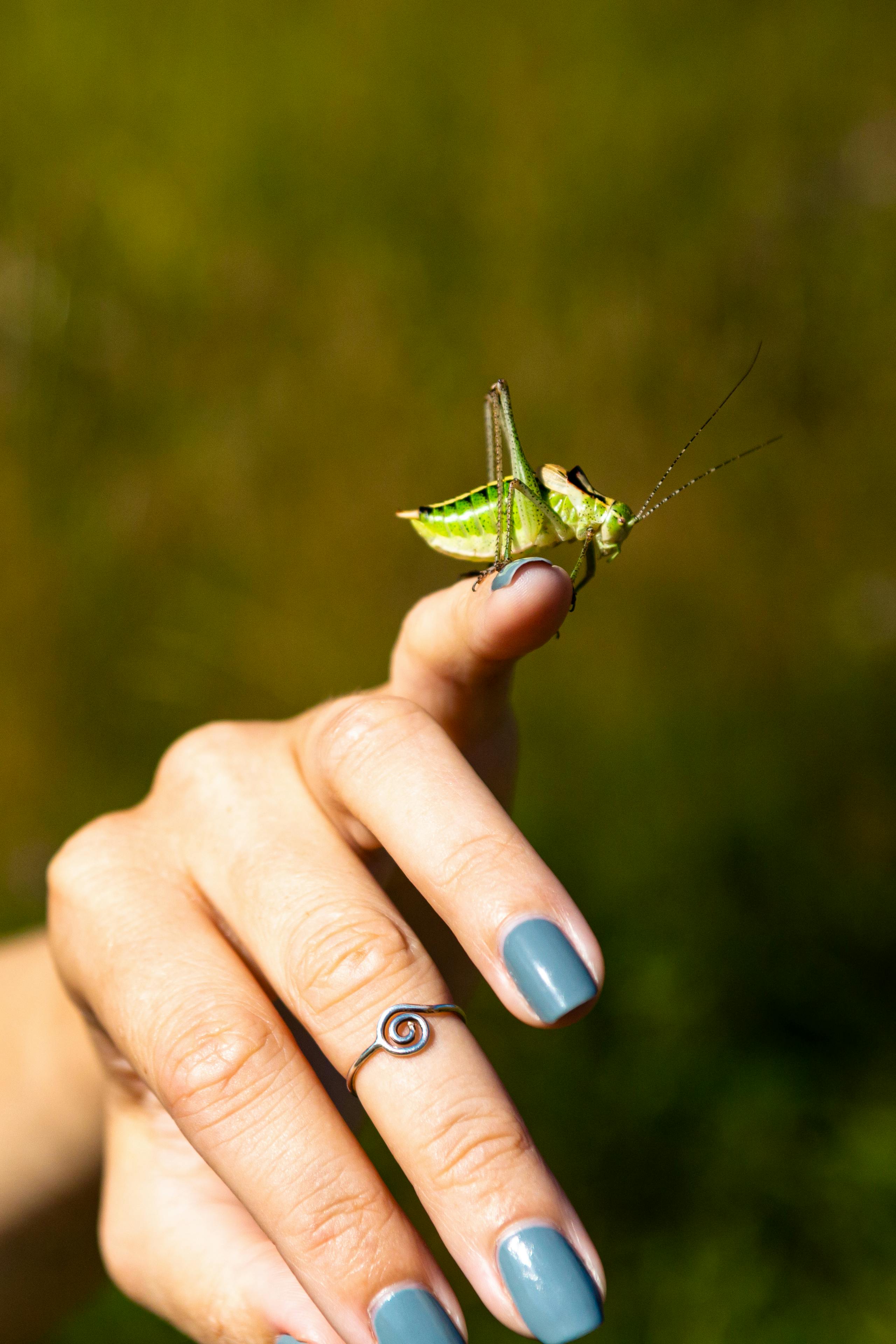 Blonde Woman Showing Her Index Finger · Free Stock Photo