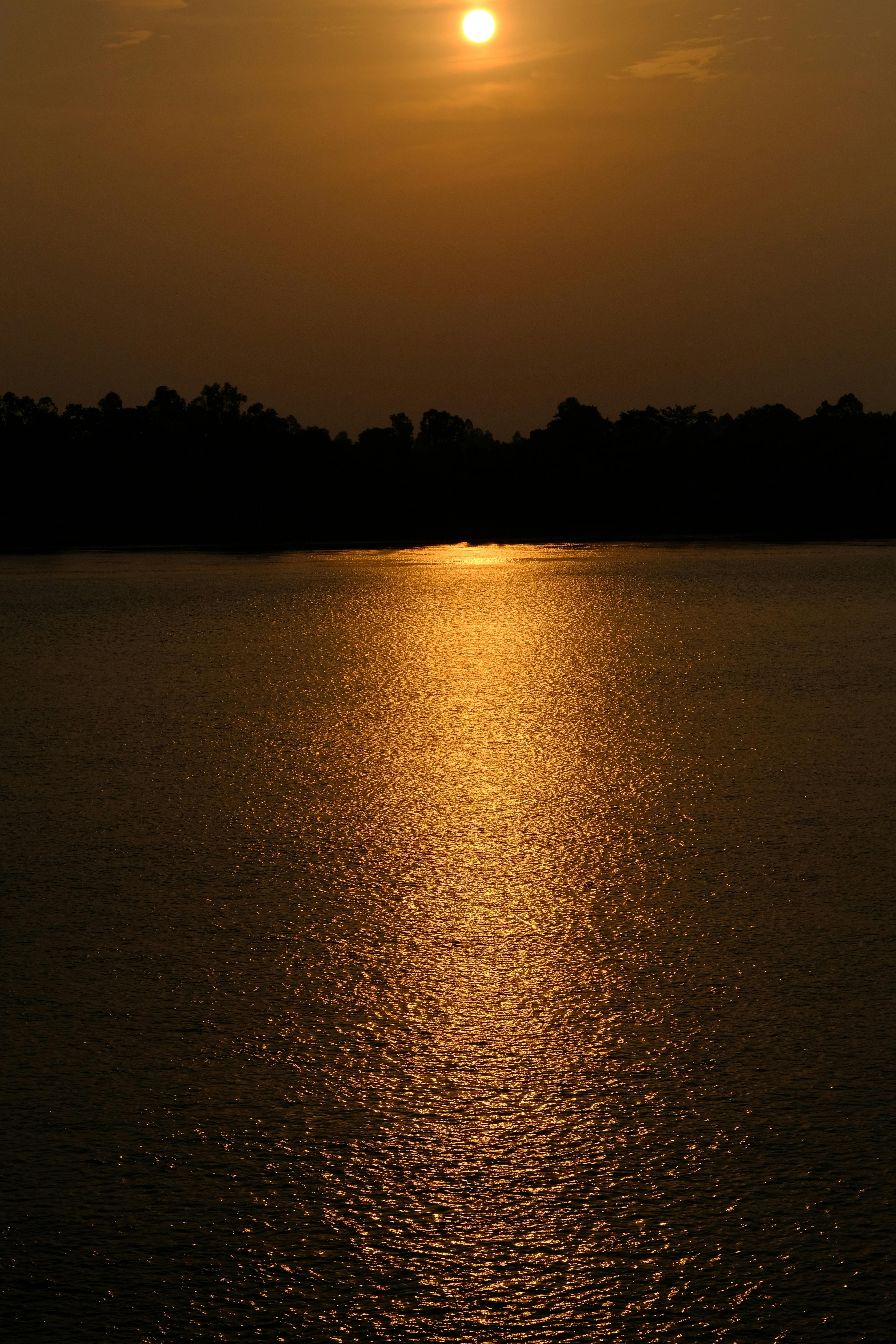 Morning Sunlight Reflecting in River · Free Stock Photo