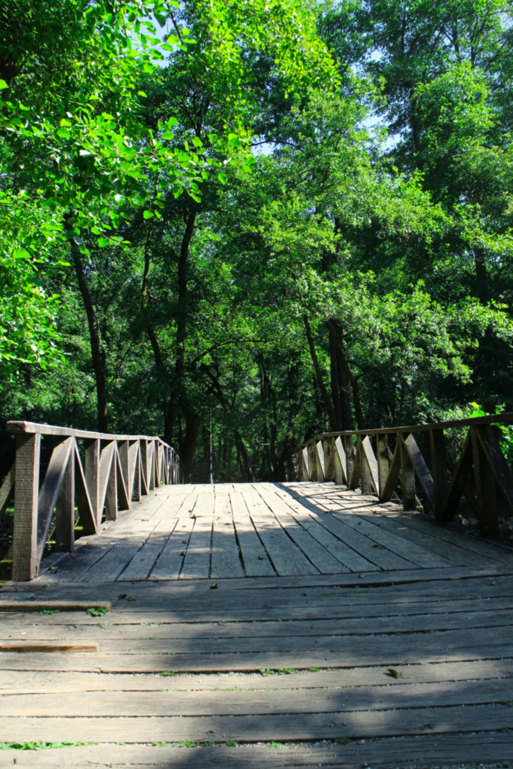 Meryem Meva - 摄影