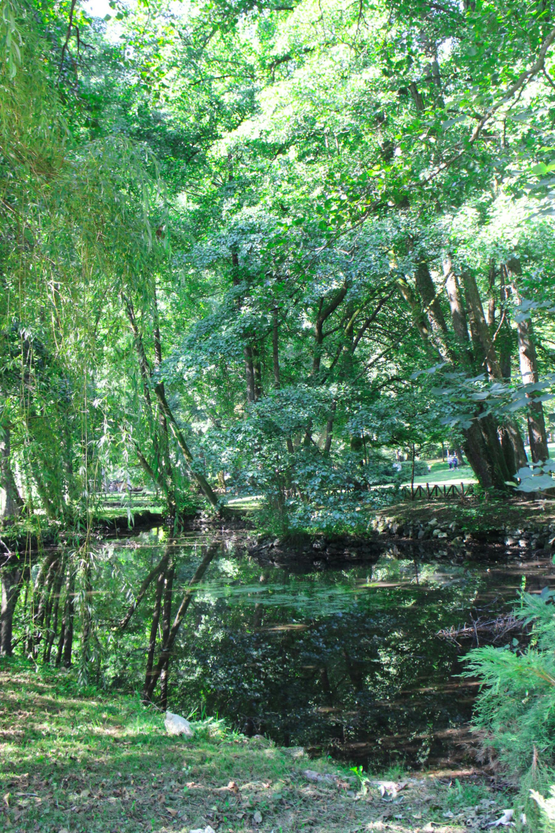 Meryem Meva - 摄影