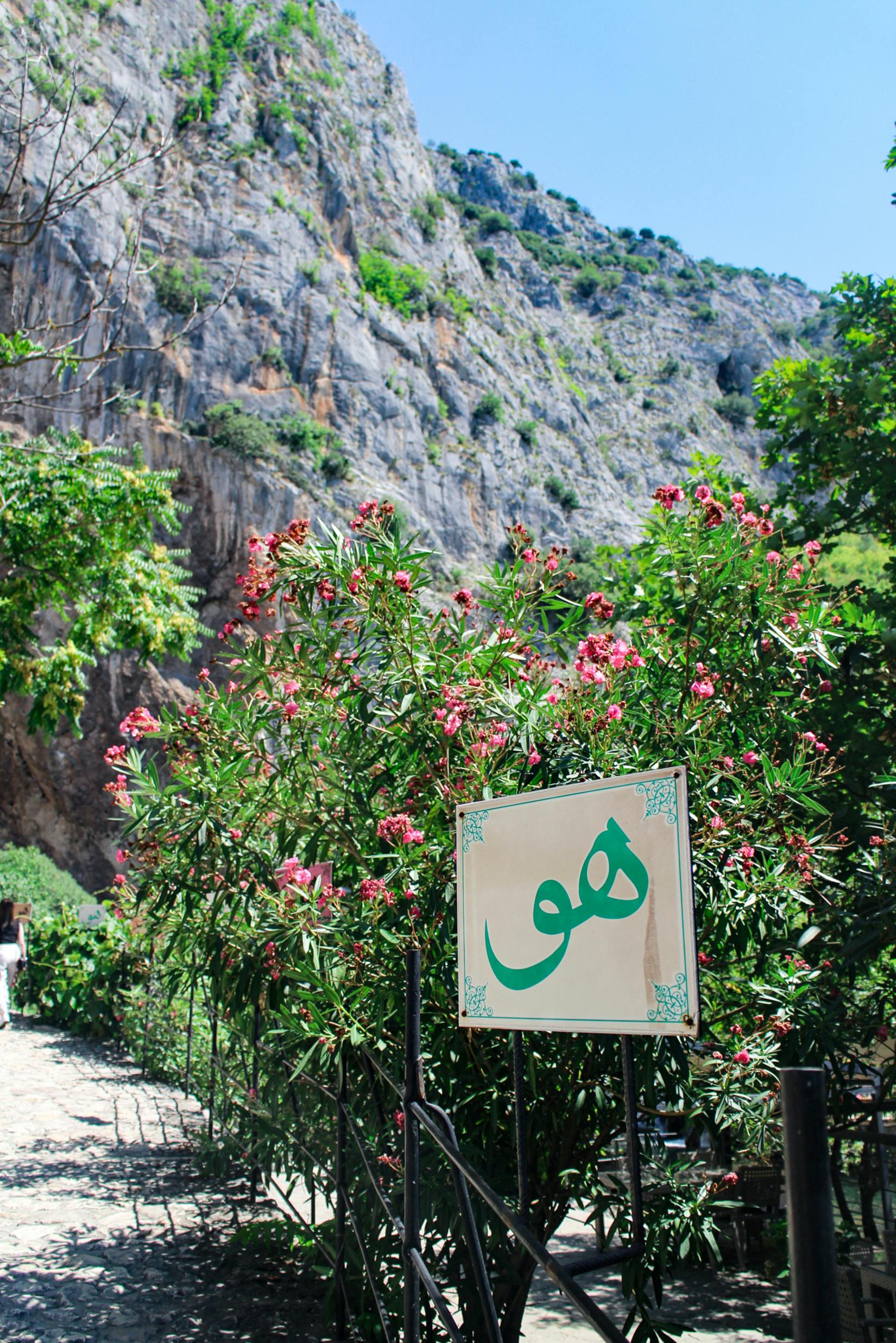 Meryem Meva - 摄影