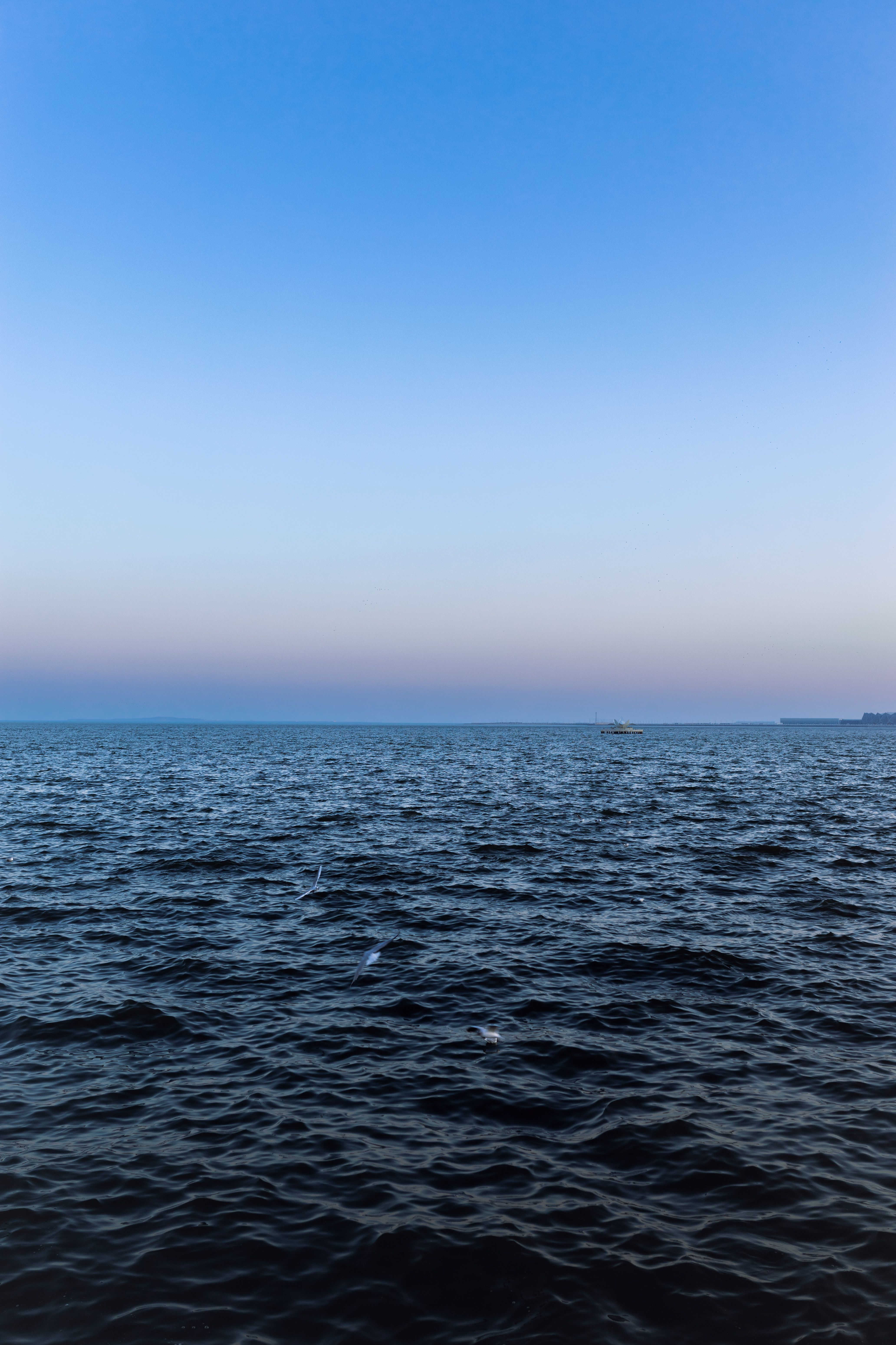Clear Sky over Sea Coast · Free Stock Photo