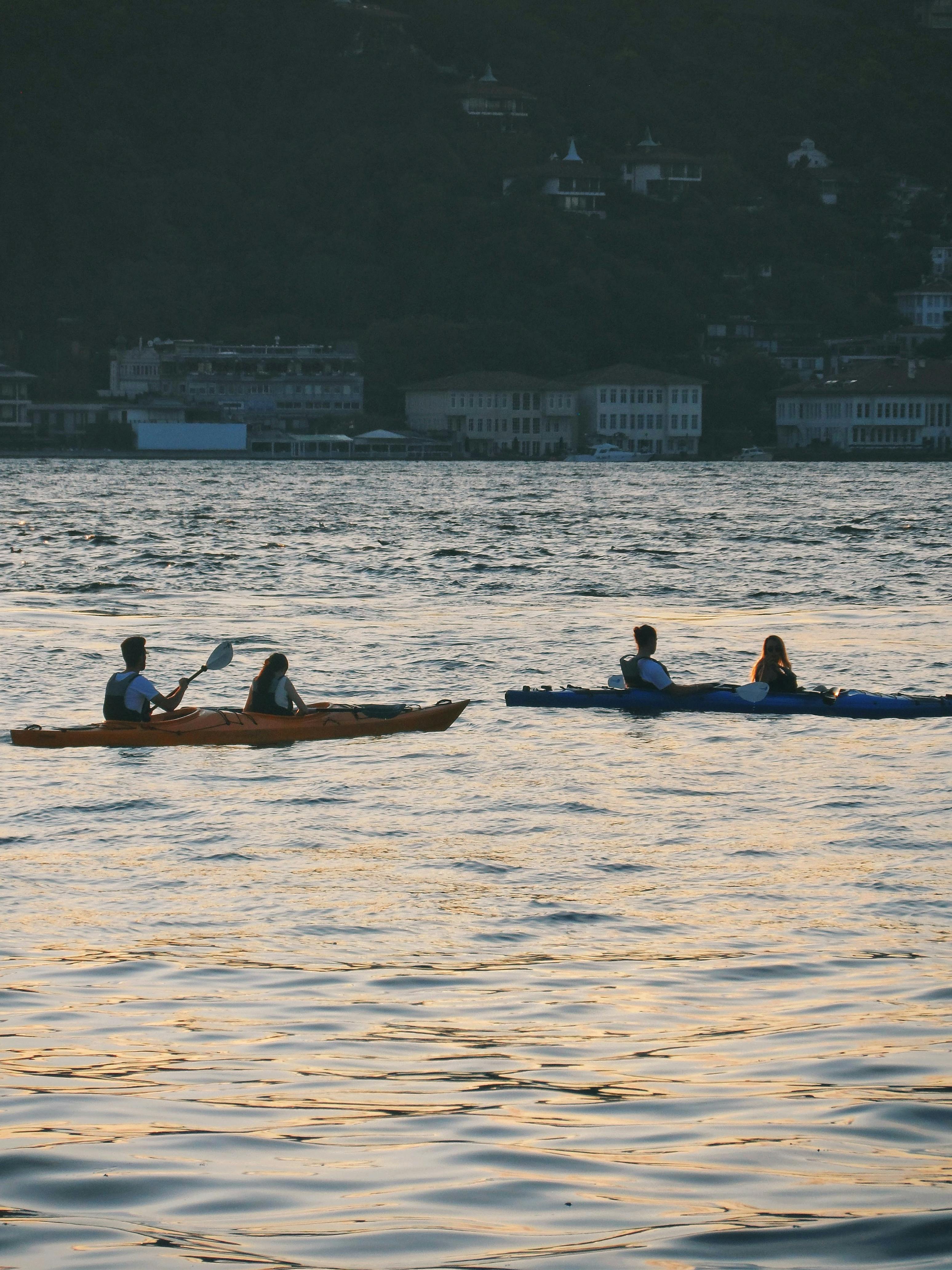 People Canoeing on Sea Coast · Free Stock Photo