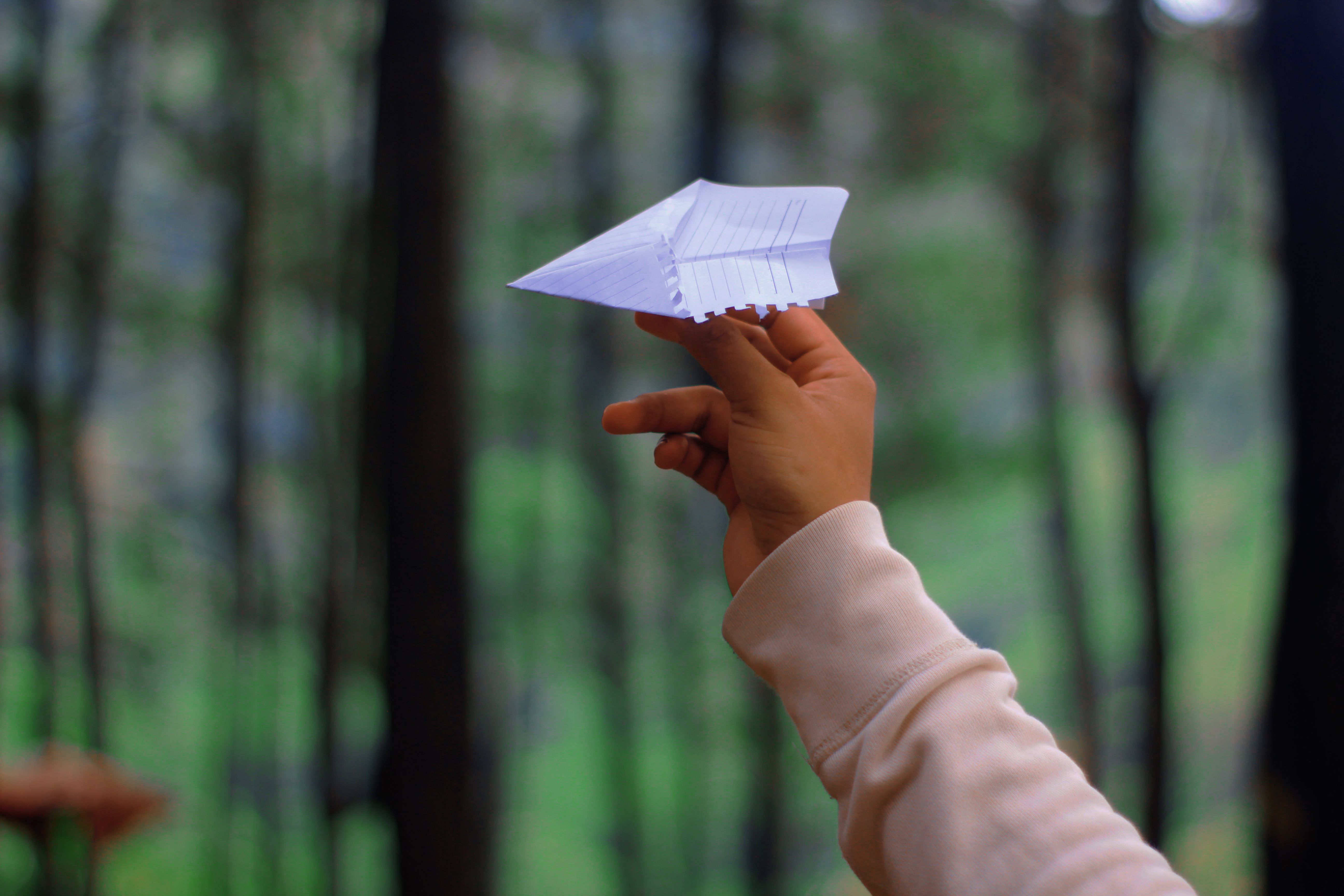 Planing Photos, Download The BEST Free Planing Stock Photos & HD Images