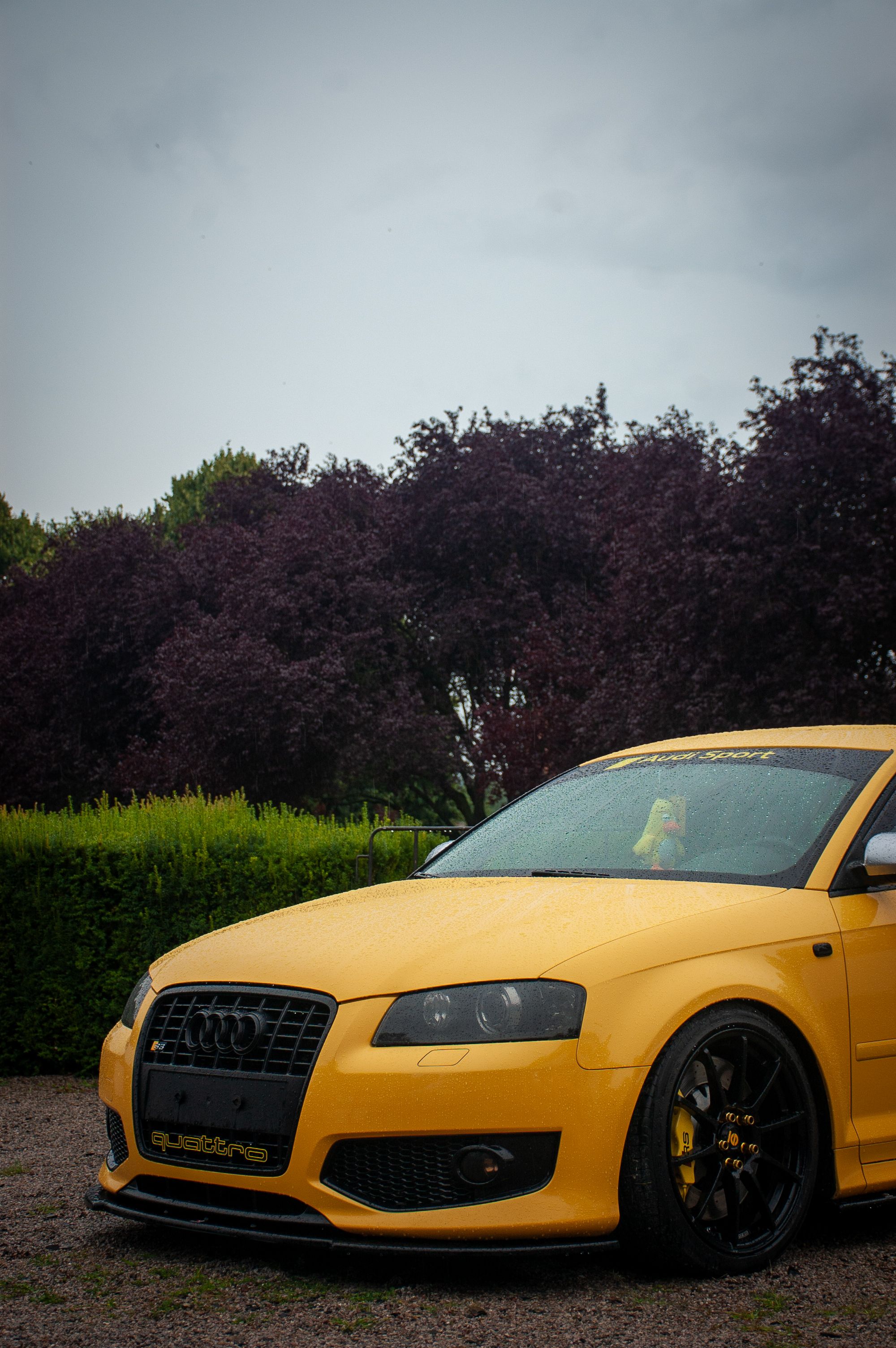 Modern Sport Car in Countryside · Free Stock Photo