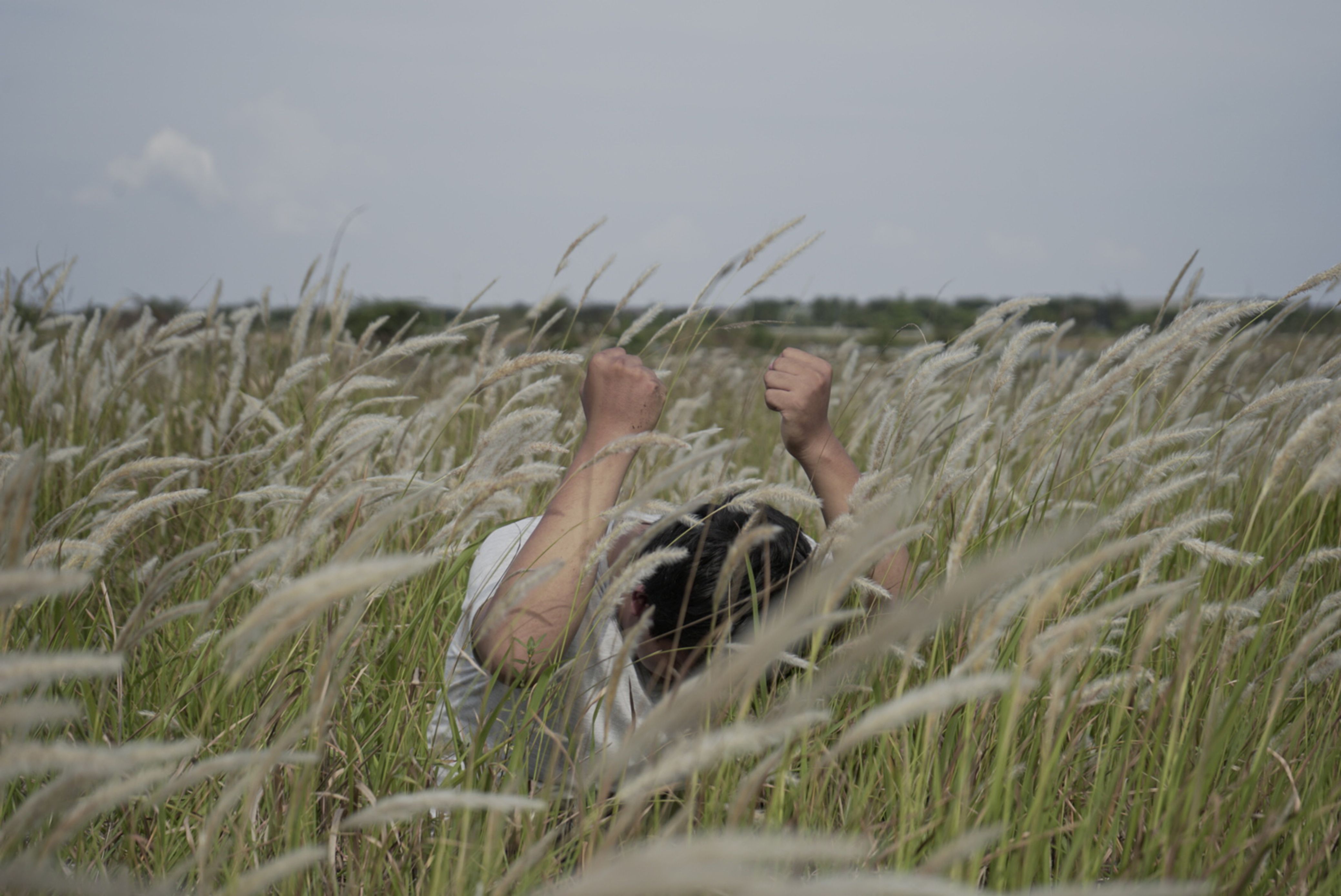 Woman Laying on Field of Green Grass · Free Stock Photo