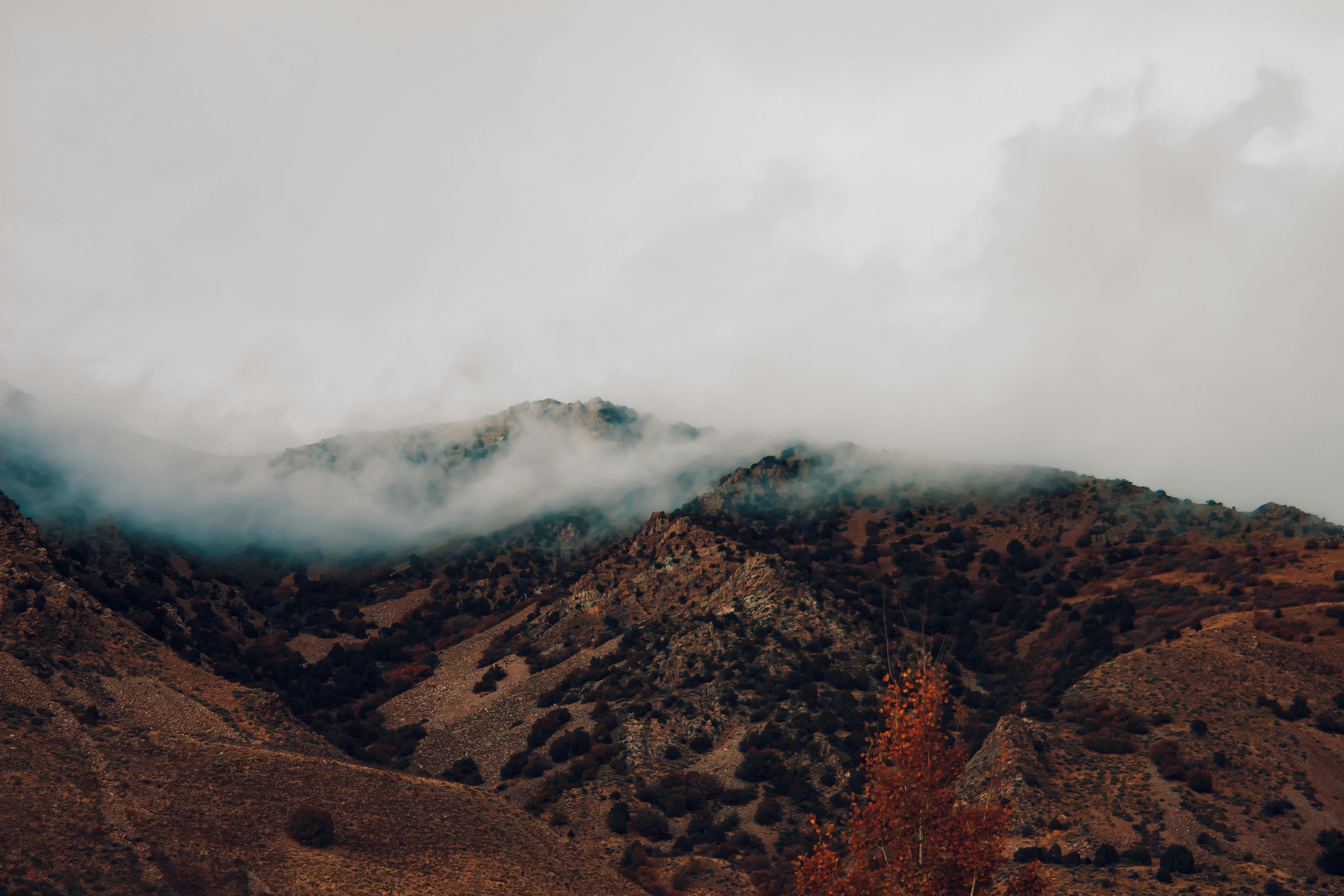 Thick Mist Obscuring View of Mountains · Free Stock Photo