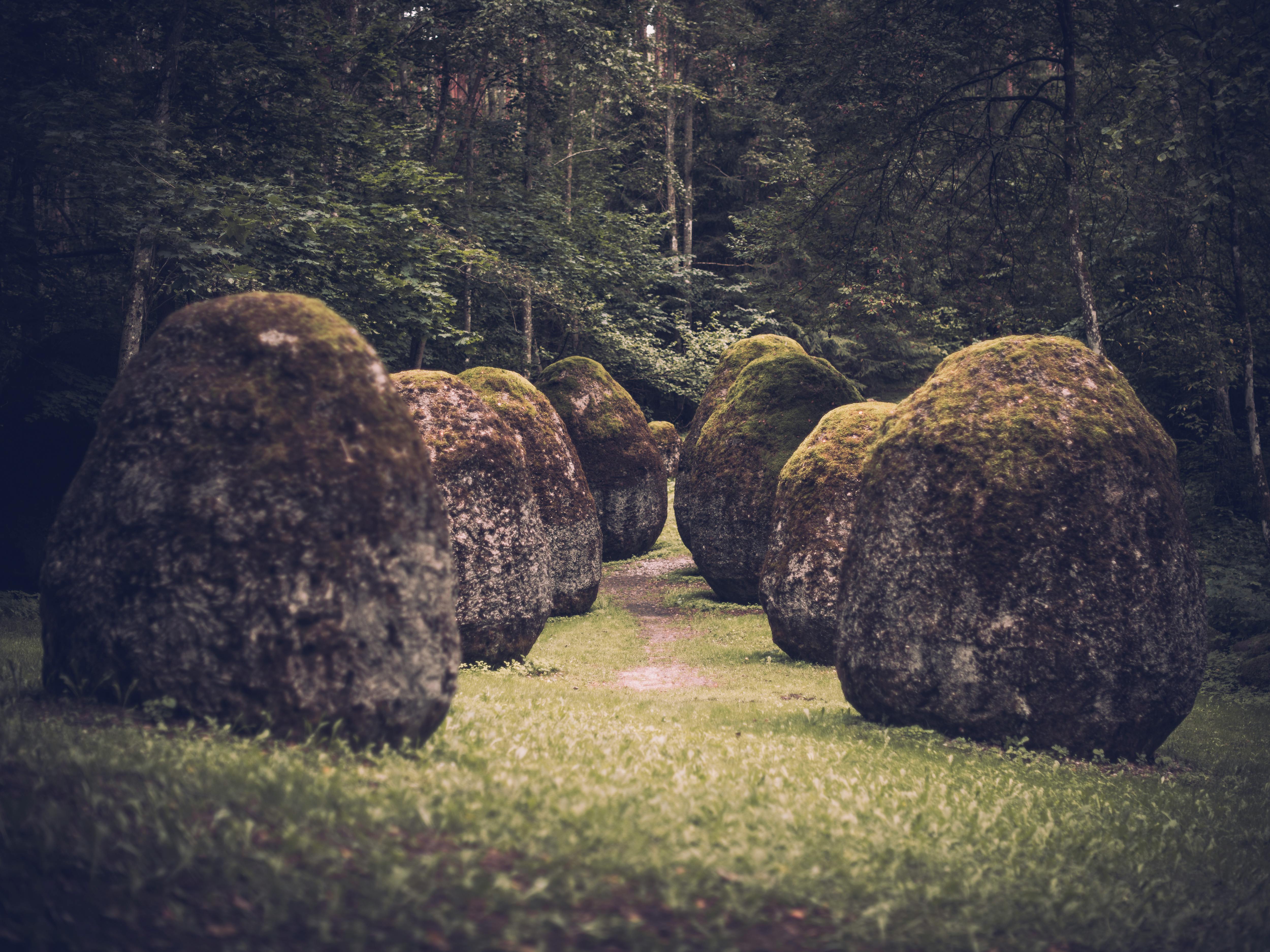 Mr Alex Photography - Photography