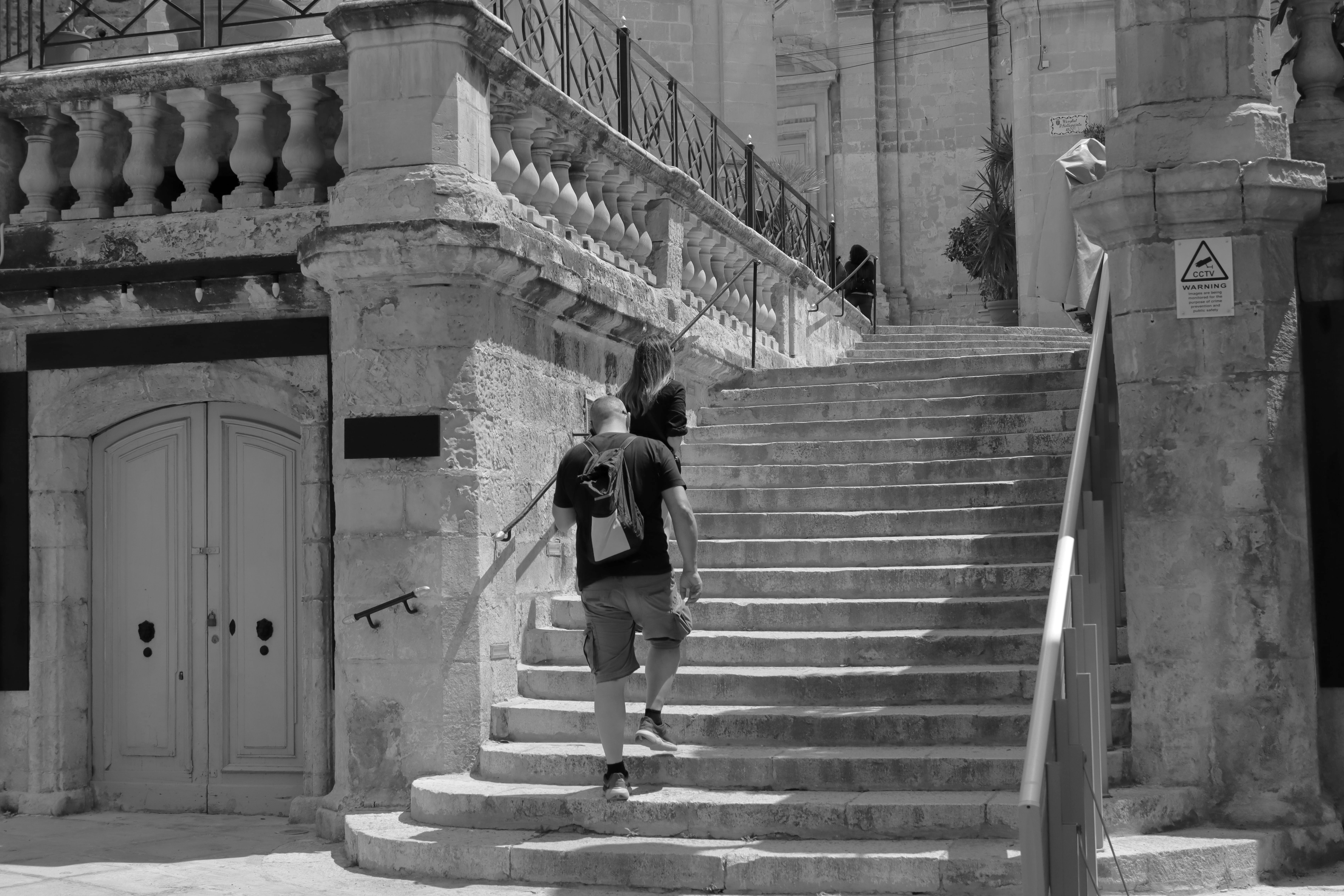 Black and White Photography of Tourists Walking up the Palace Steps ...