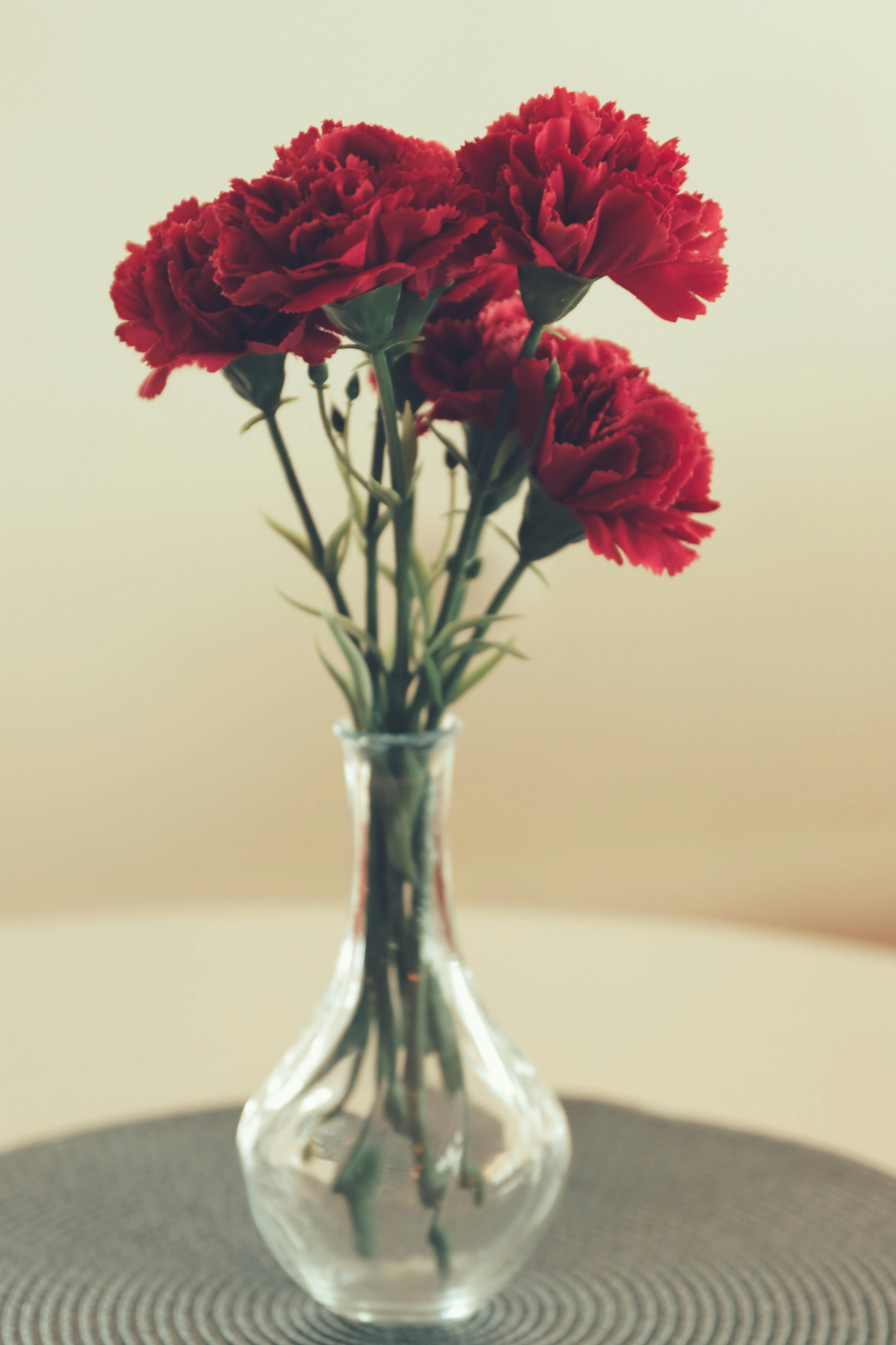 Vase With Flowers Photos, Download The BEST Free Vase With Flowers ...