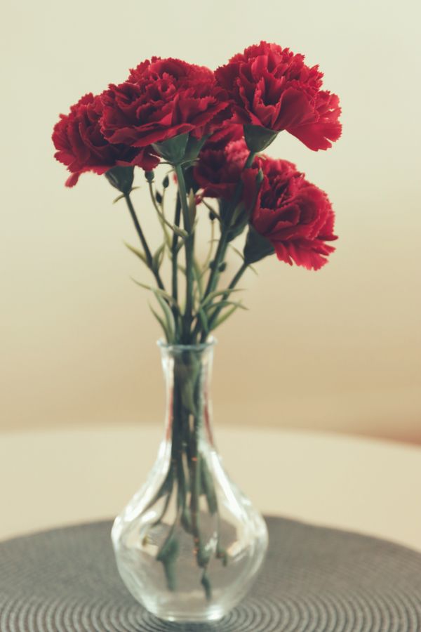 Vase With Flowers Photos, Download The BEST Free Vase With Flowers ...