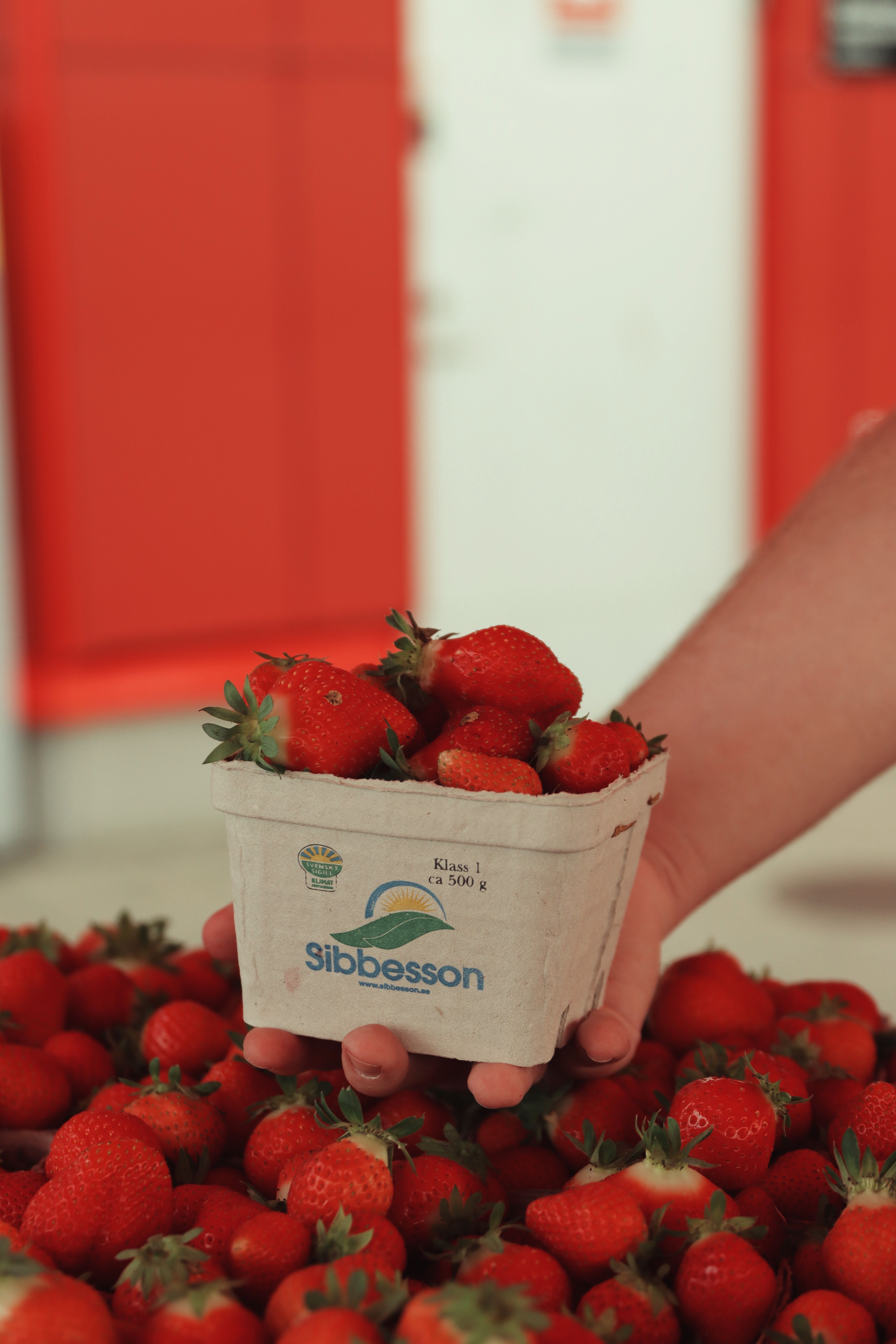 Swedish Berry Photos, Download The BEST Free Swedish Berry Stock Photos ...