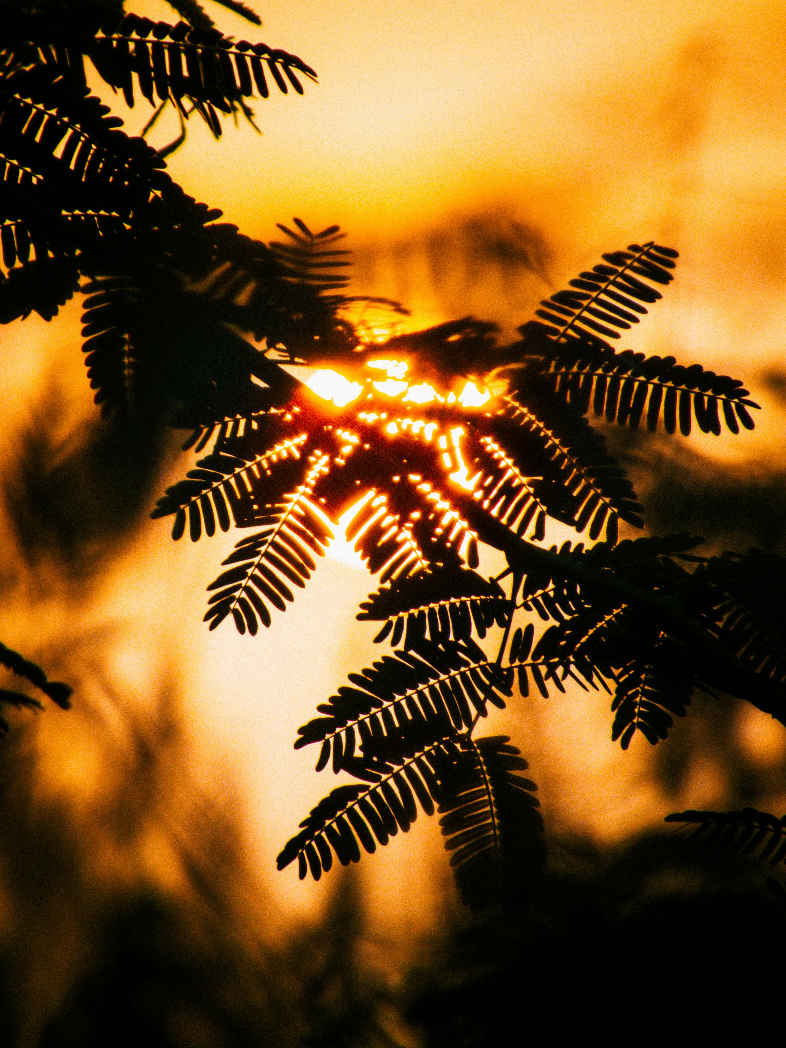 Haroon Iqbal - Fotografía