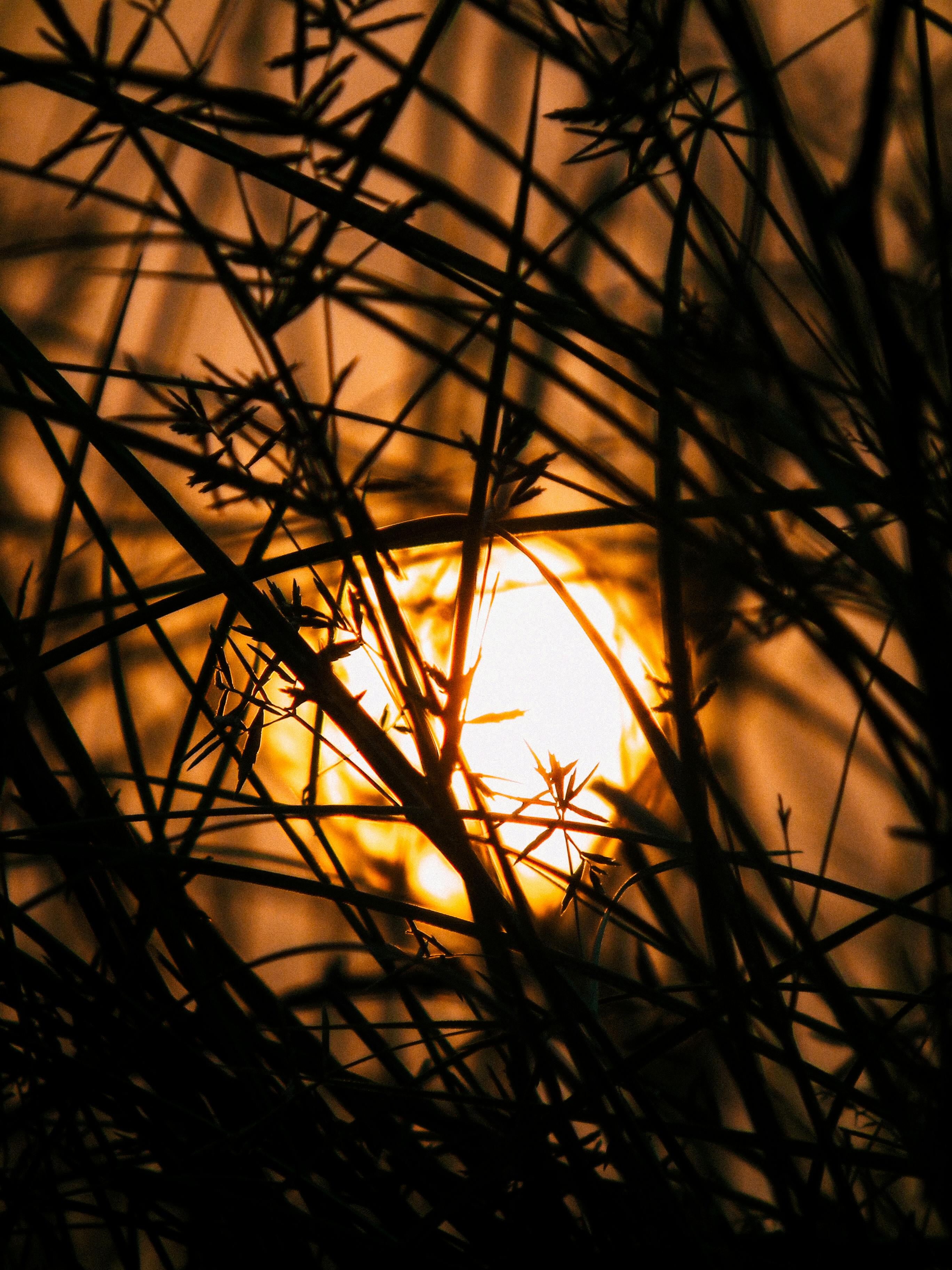 Haroon Iqbal - Fotografía