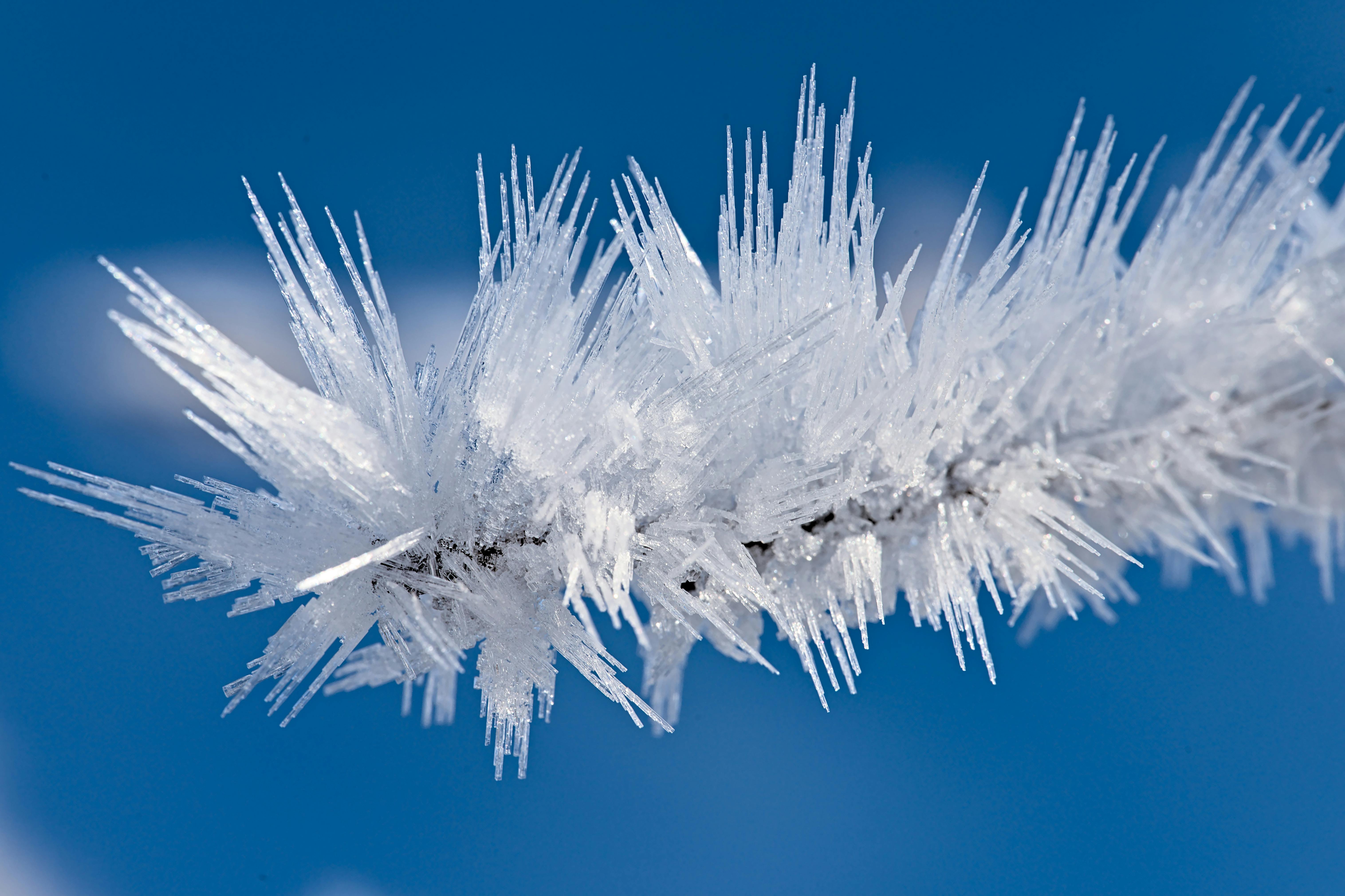 Close up of Ice · Free Stock Photo