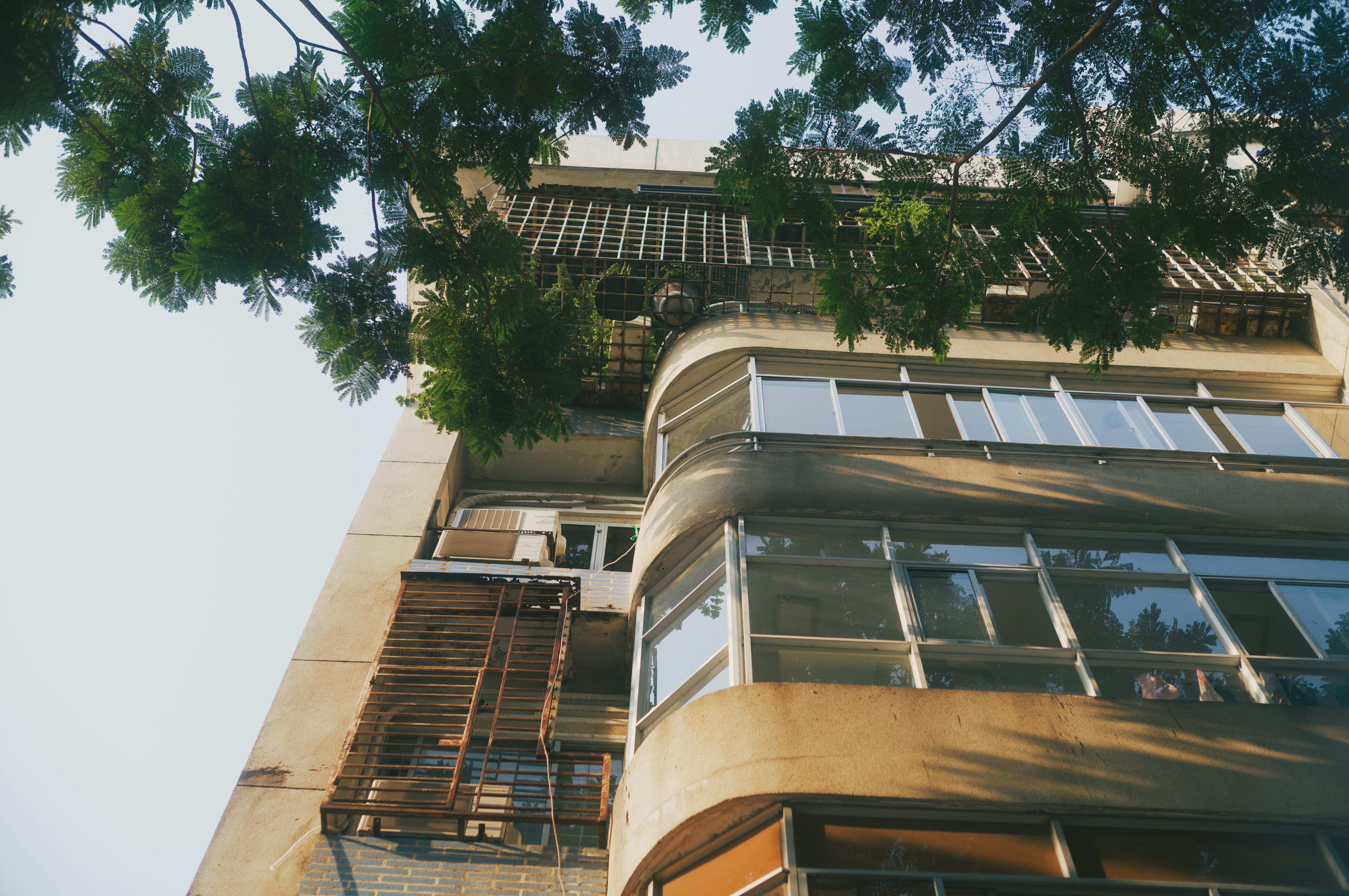 Leaves near Residential Building · Free Stock Photo