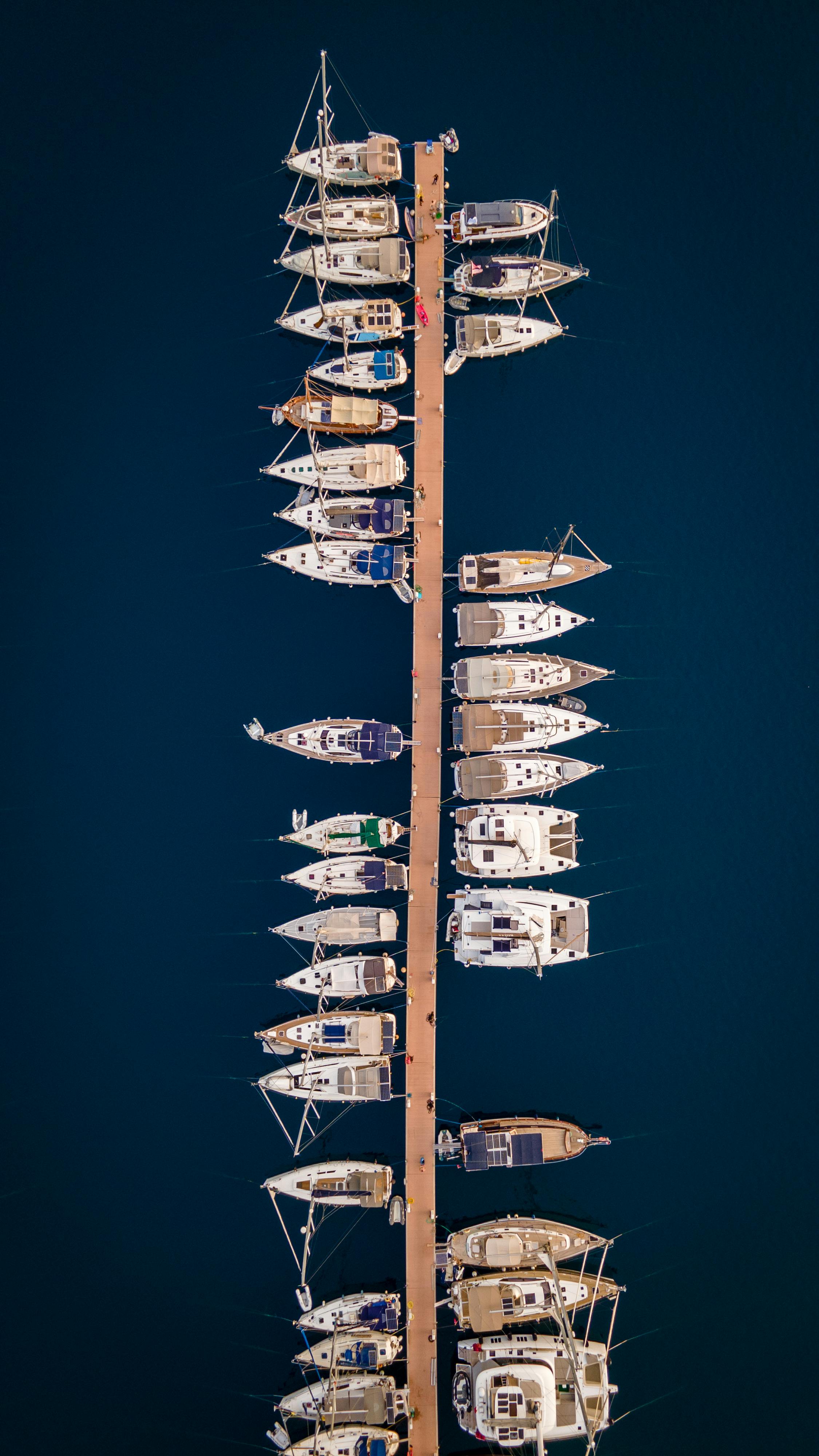 Tiger Ships Photos, Download The BEST Free Tiger Ships Stock Photos ...