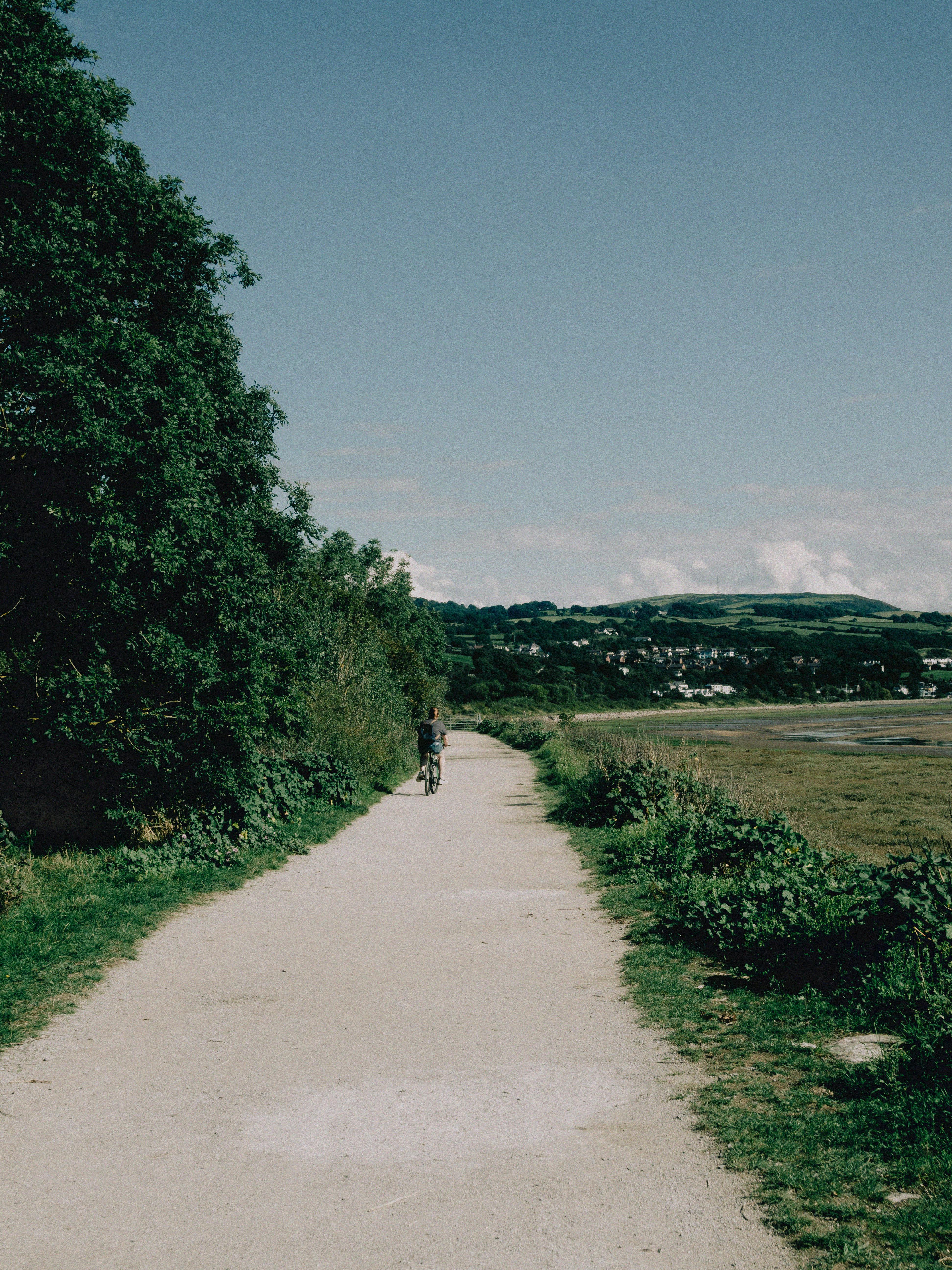 A Country Road with a Cyclist in a Distance · Free Stock Photo