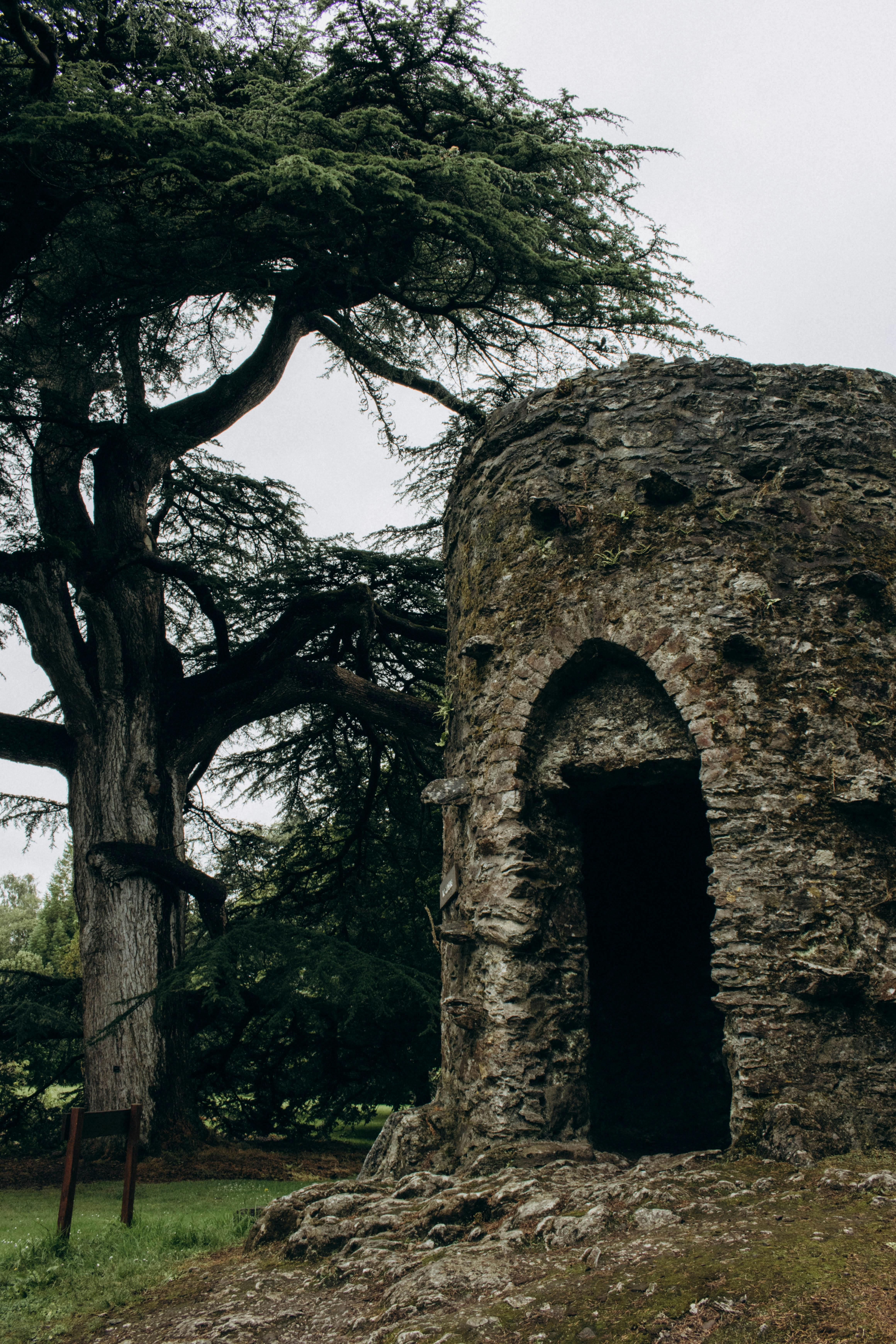 Tree Growing by a Lookout Tower of Blarney Castle, Ireland · Free Stock ...
