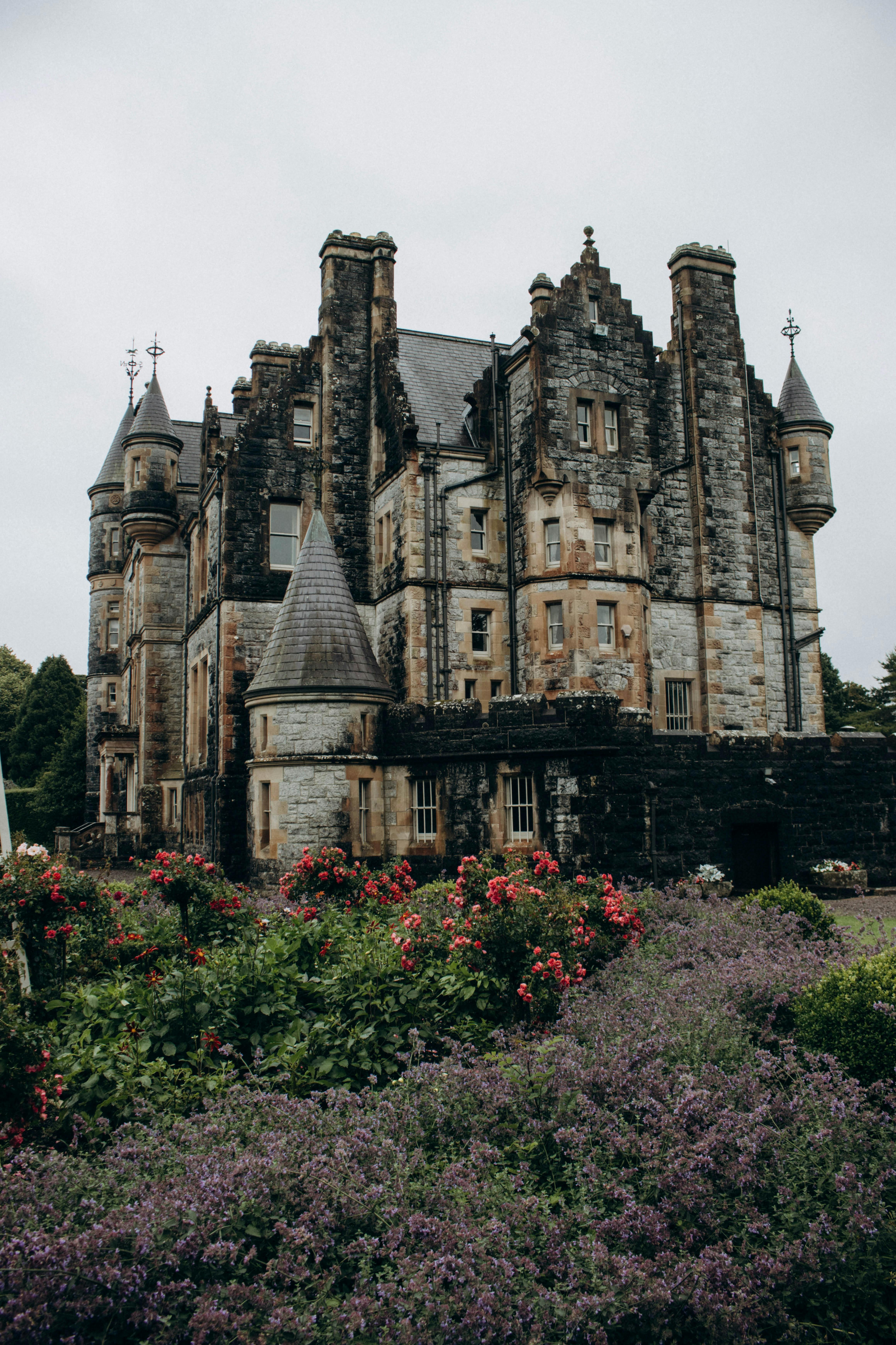 Ireland Kit Photos, Download The BEST Free Ireland Kit Stock Photos ...