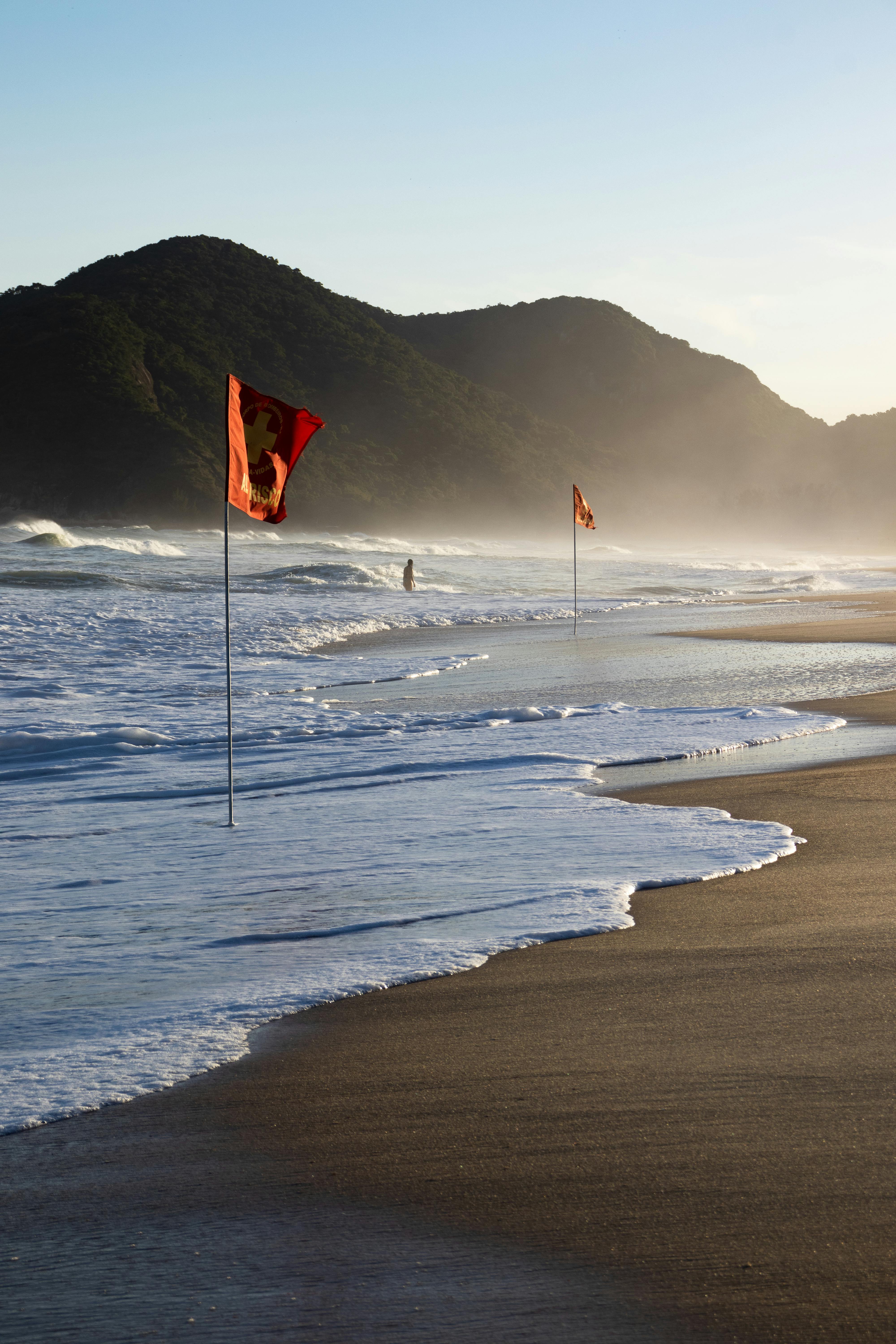 Flags on Sea Shore · Free Stock Photo