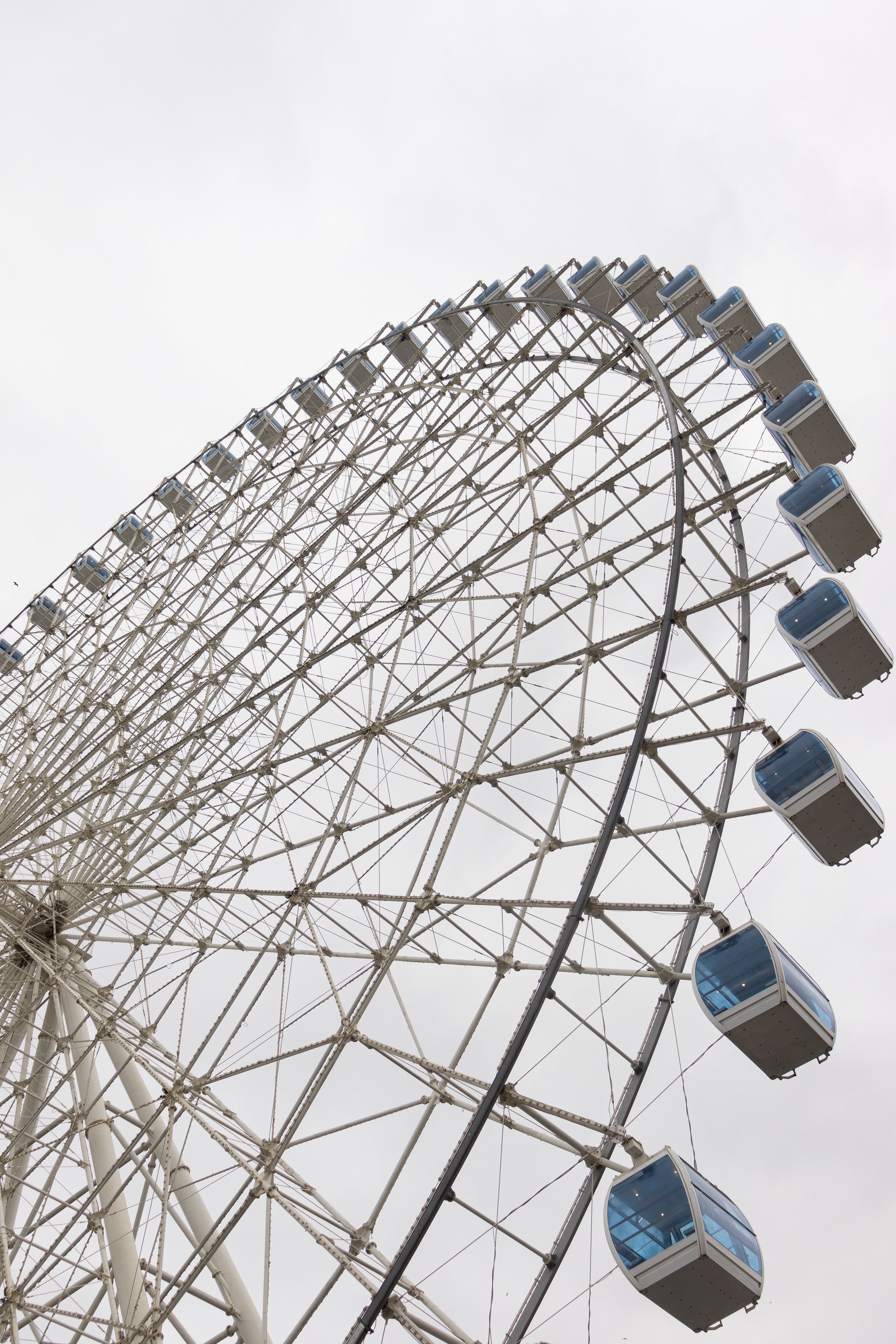 Ferris Wheel and Trees behind · Free Stock Photo