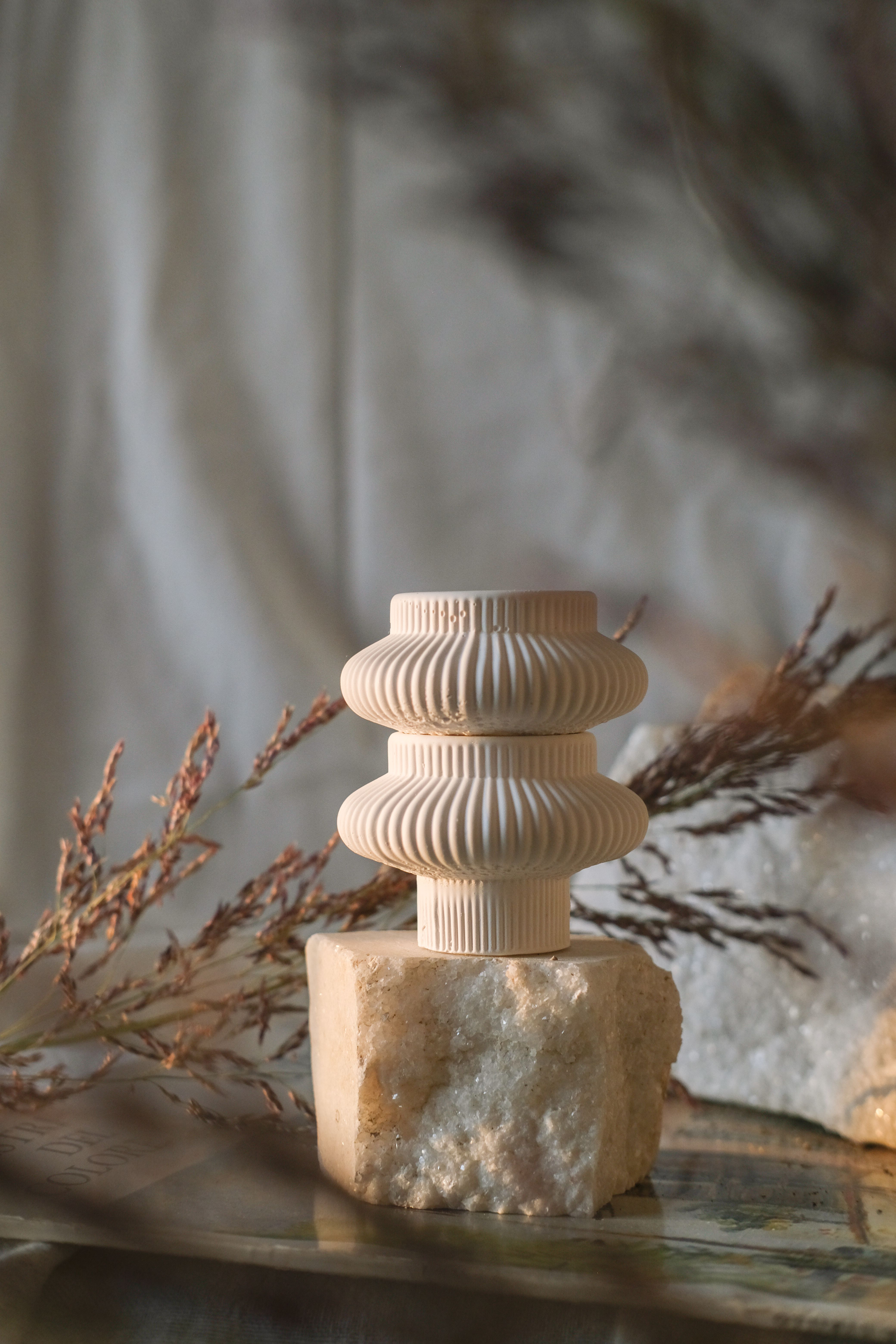 Still Life with Ceramics and Dry Flowers · Free Stock Photo